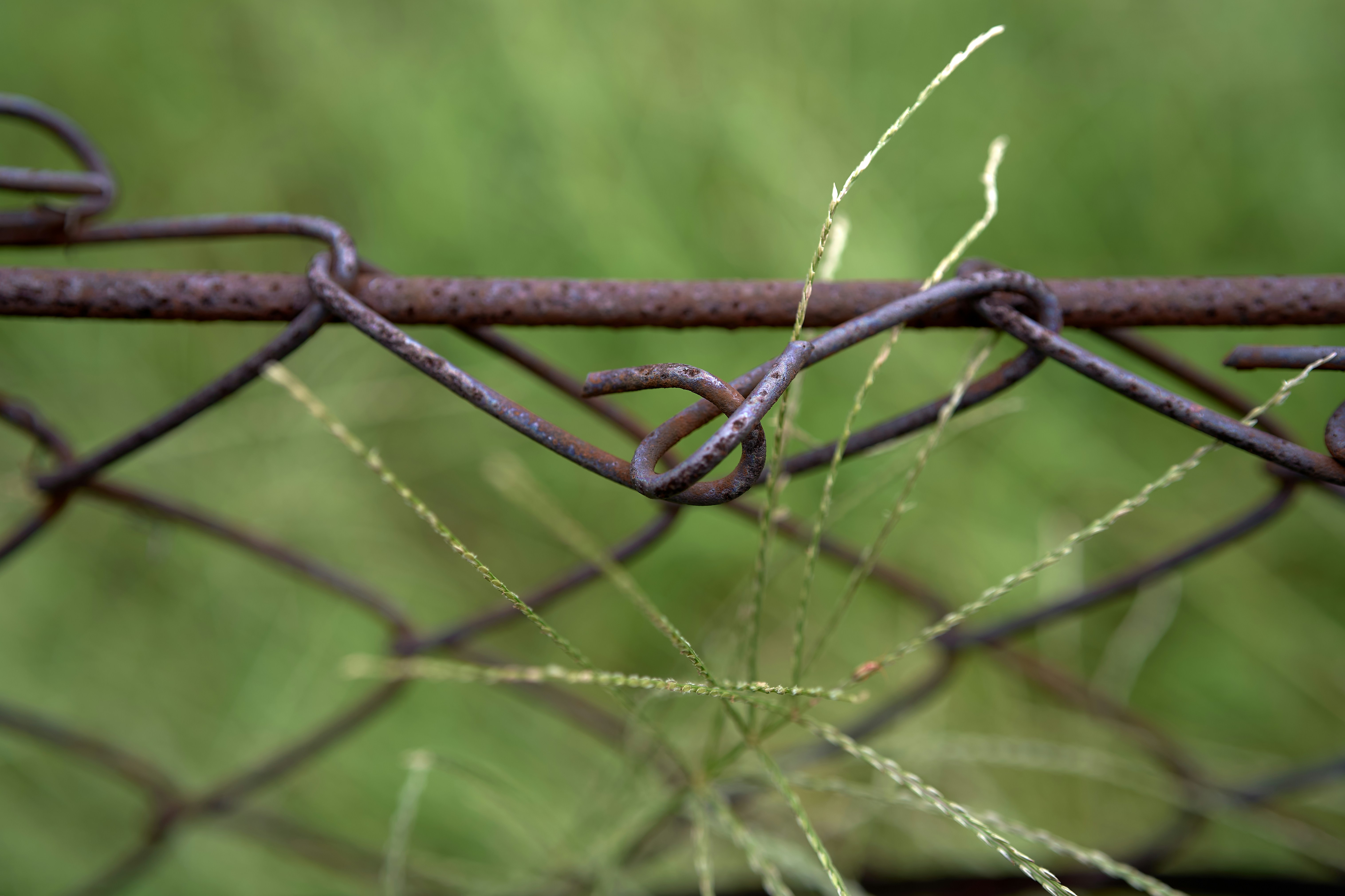 Photo by Buddy AN with Sony Alpha 7R V