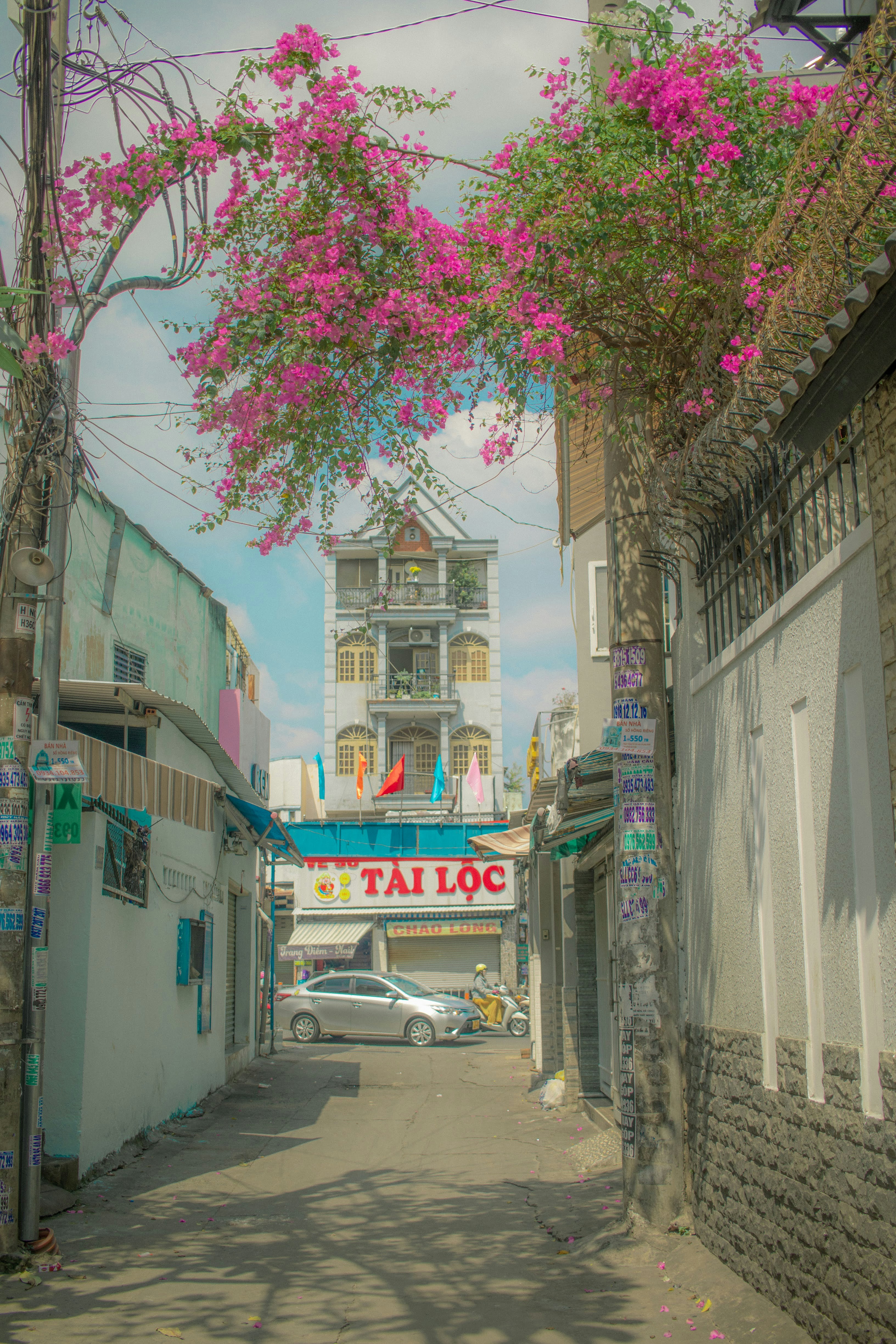 Photo by Wynne Vuong with Canon EOS 200D