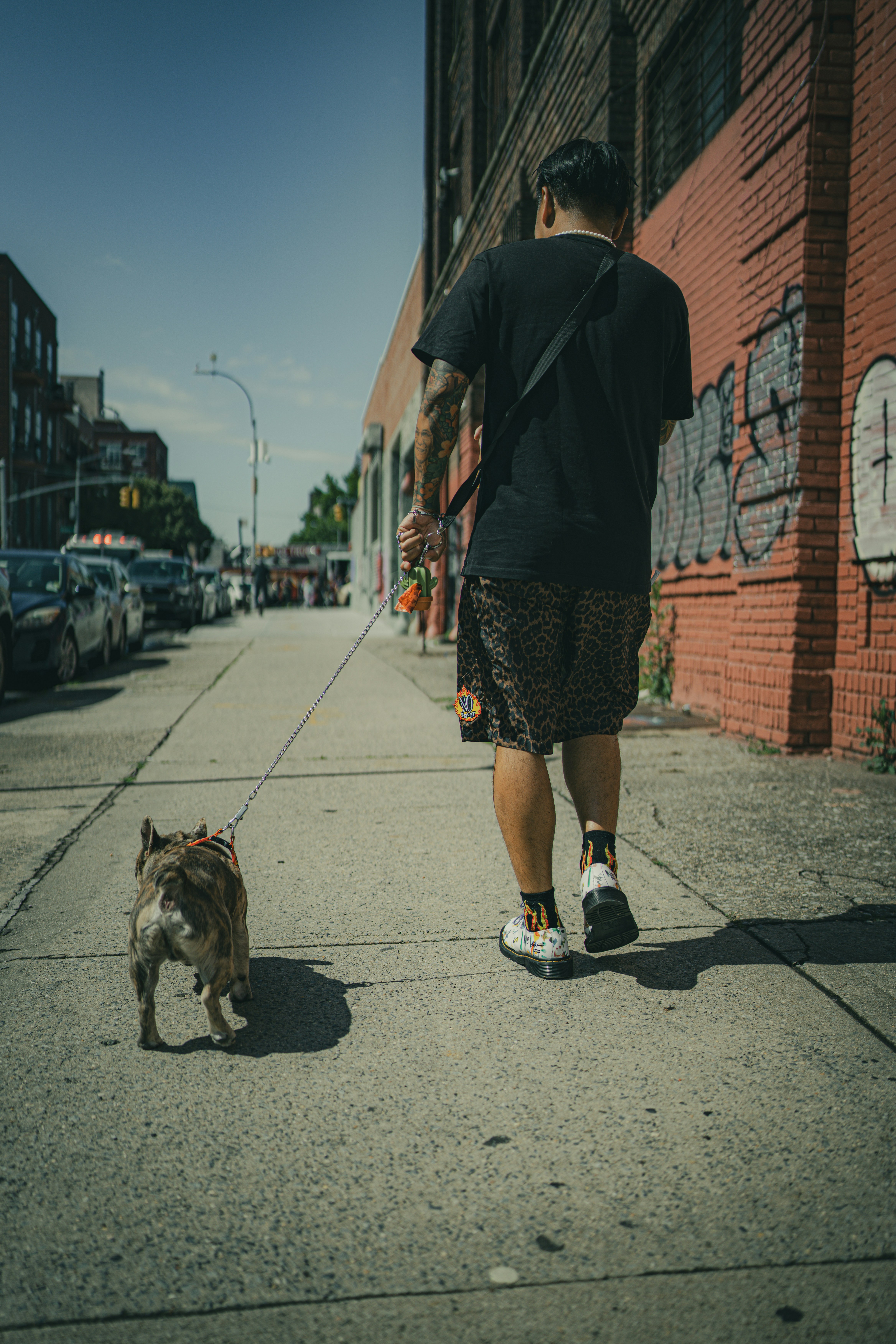 Stride and Street: A Lone Walker and His Leashed Shadow