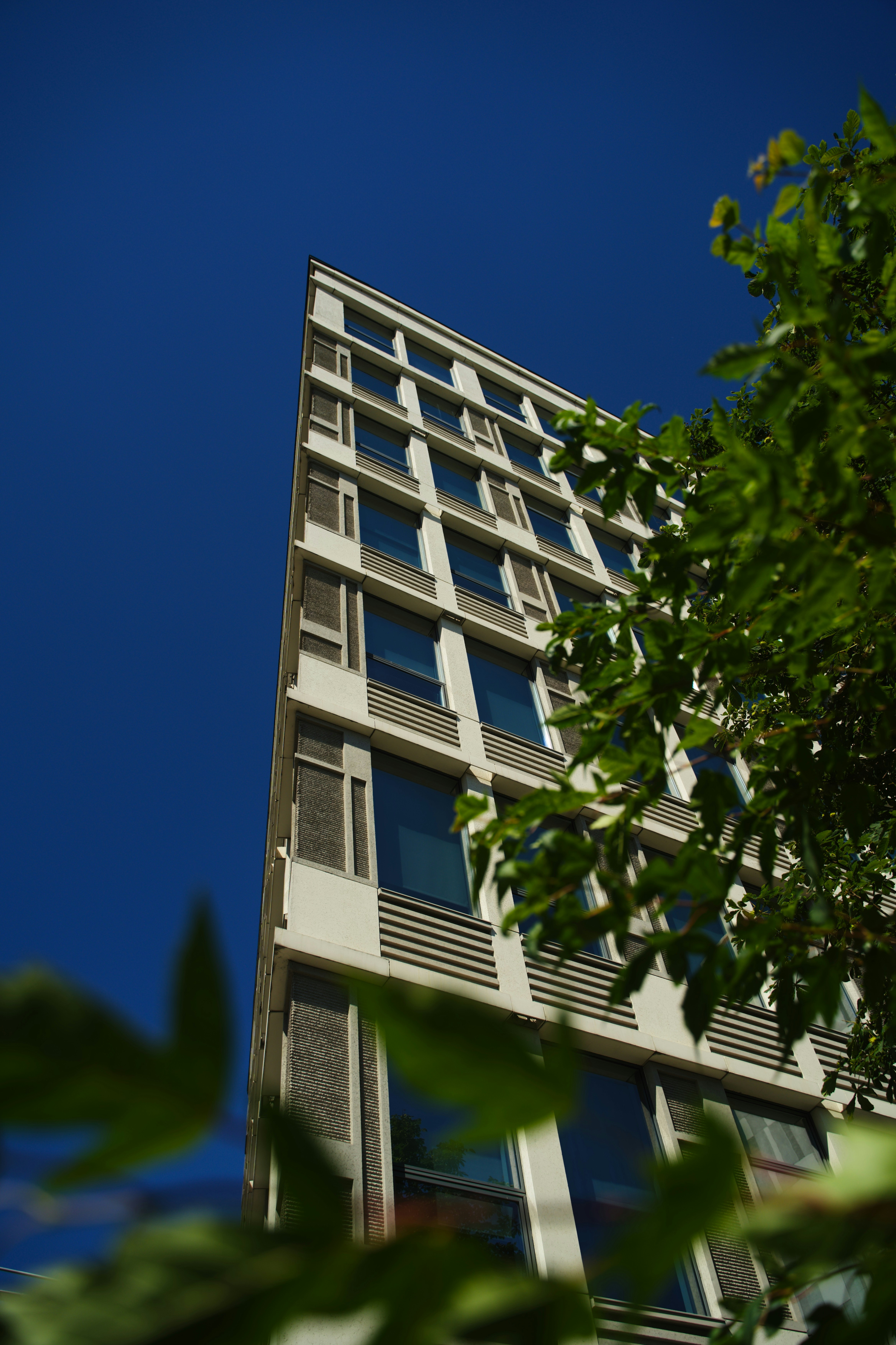 Photo by Aleksandr Eremin with Sony Alpha 7 IV