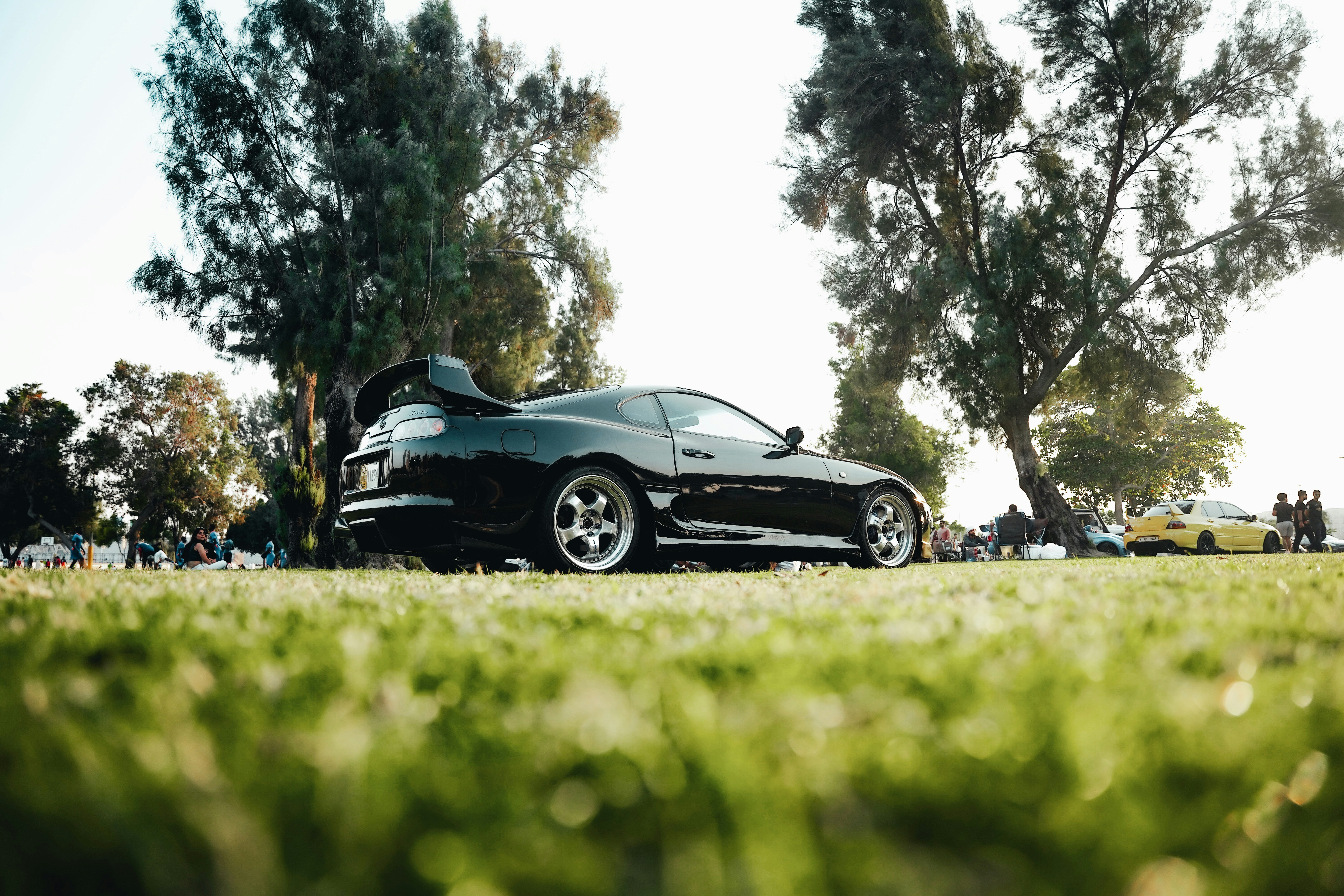 Low-Angle Classic: A Polished Black Convertible Rests in a Sunlit Park