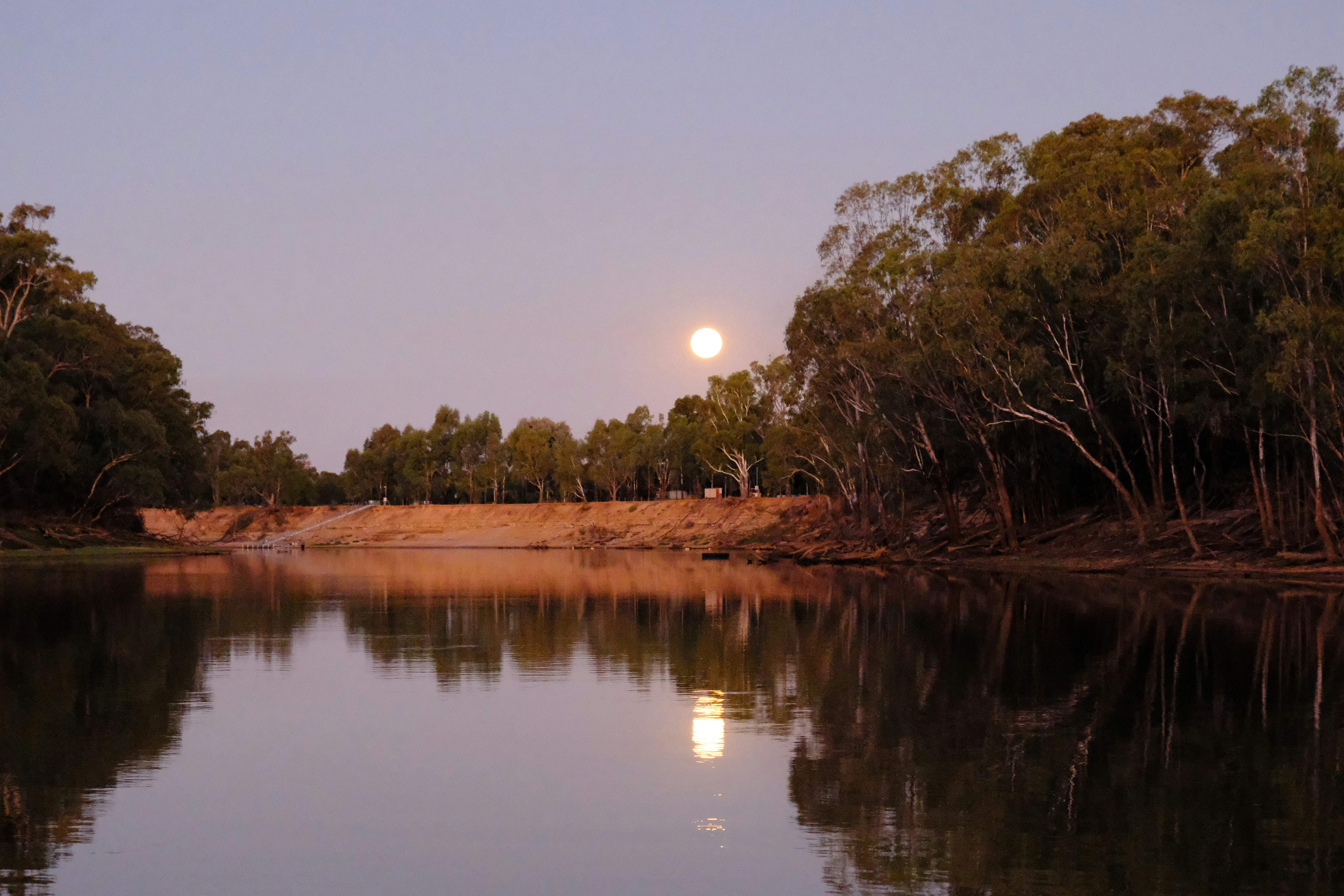 A full moon rising over a lake surrounded by trees photo – Free Brown ...