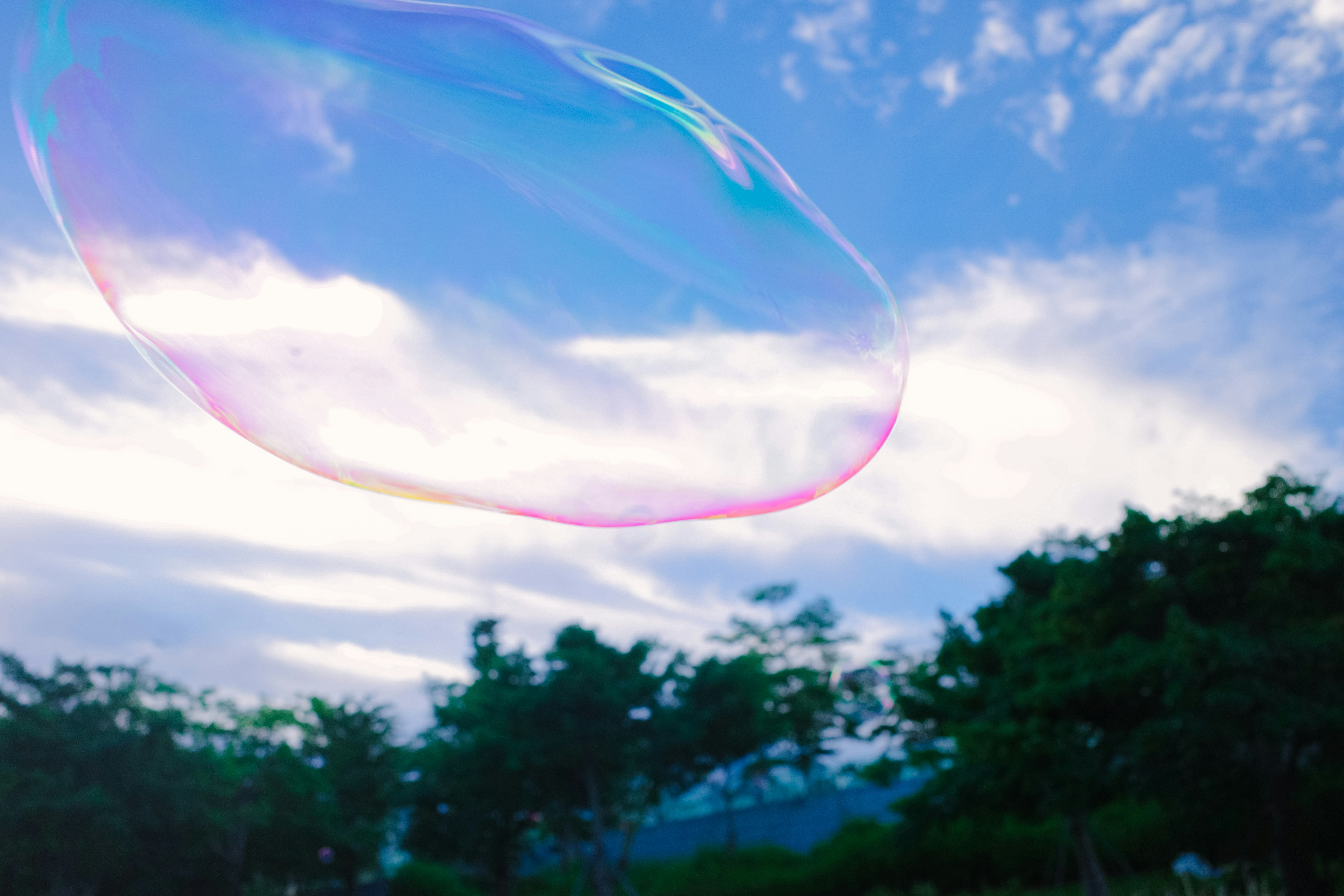 Photo by DL314 Lin with Ricoh GR III HDF