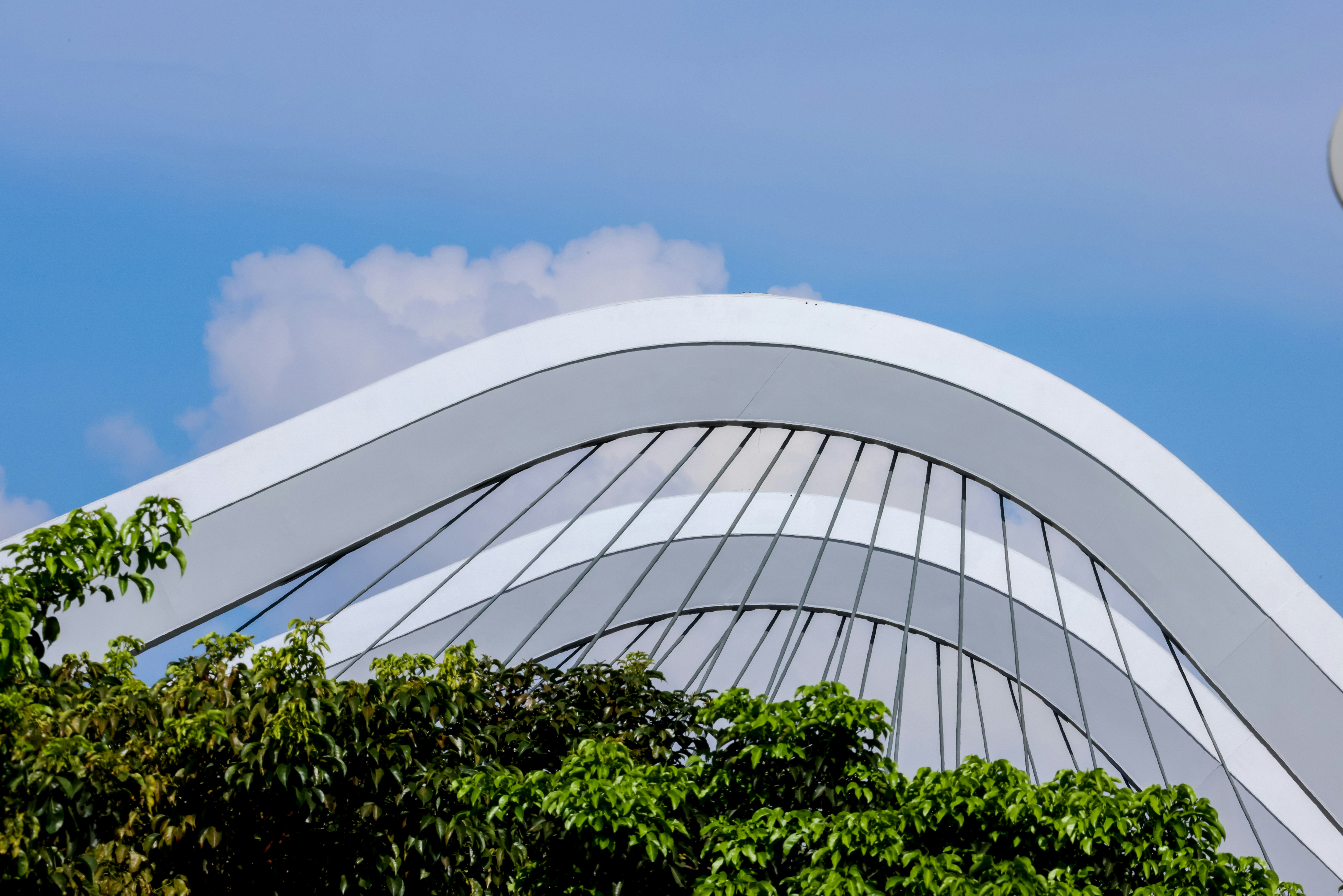 Ribbed Arch Framing the Sky Above a Green Canopy