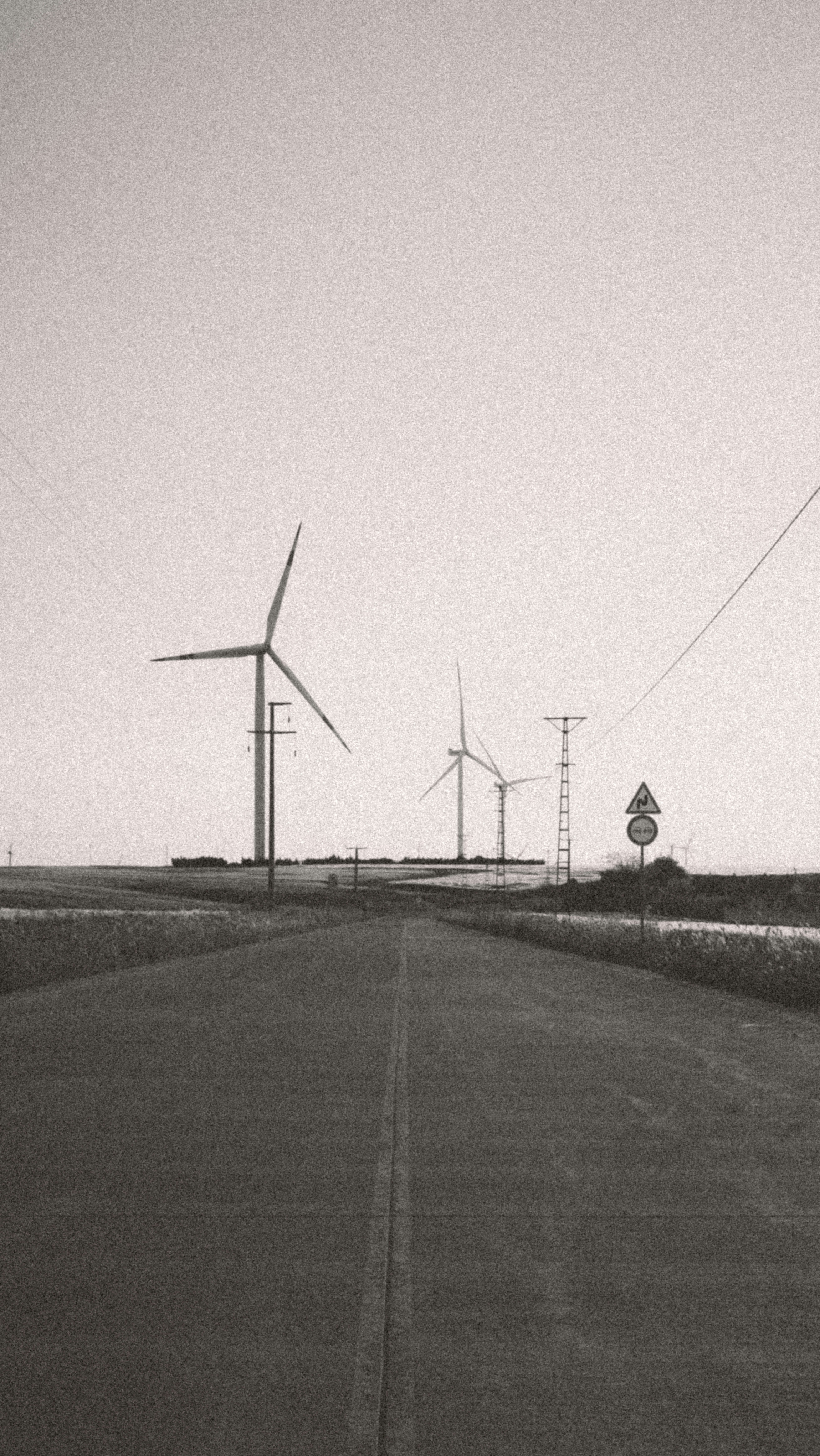 Windmills on a Quiet Road: A Monochrome Moment