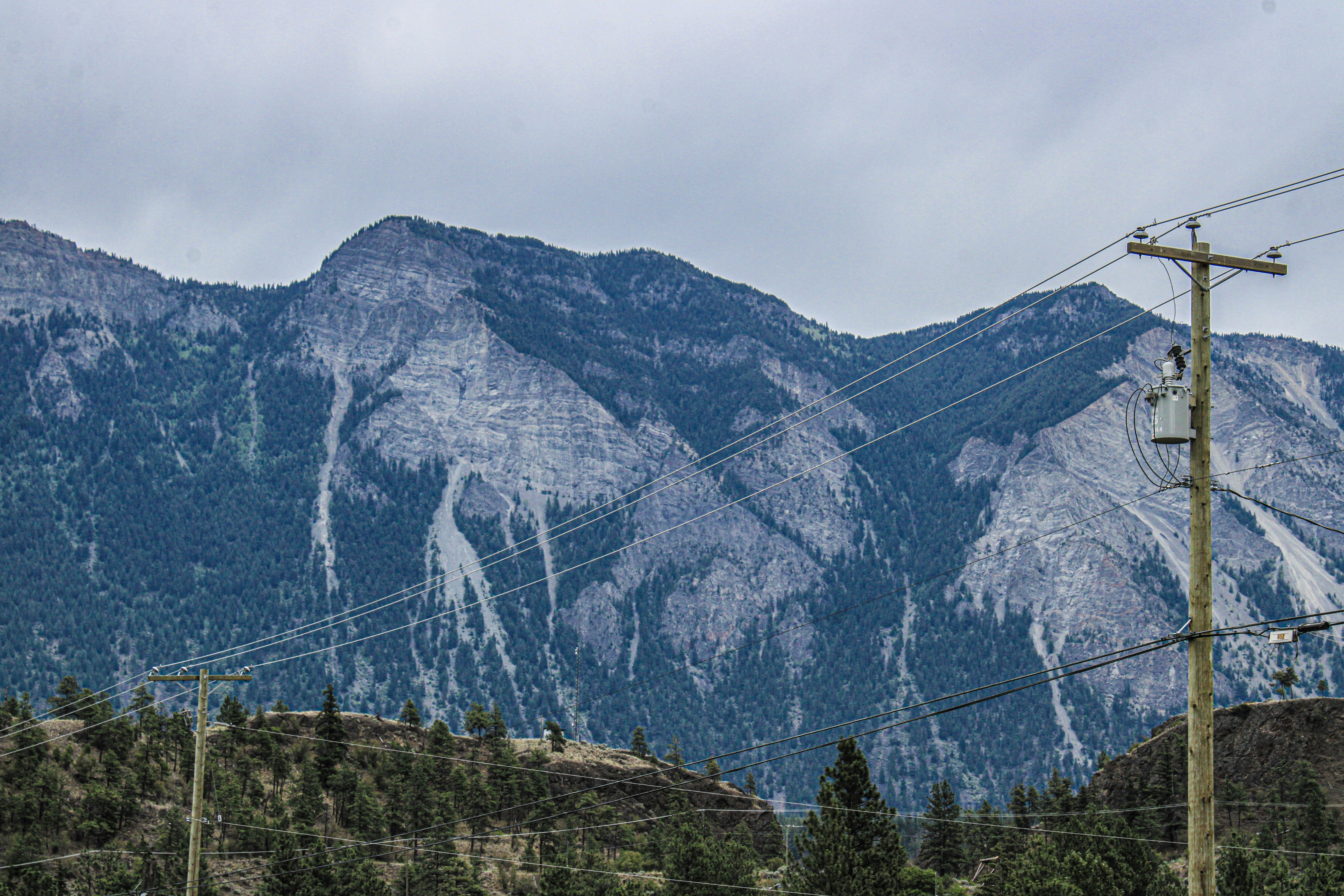 Photo by Peter Robbins with Canon EOS 2000D