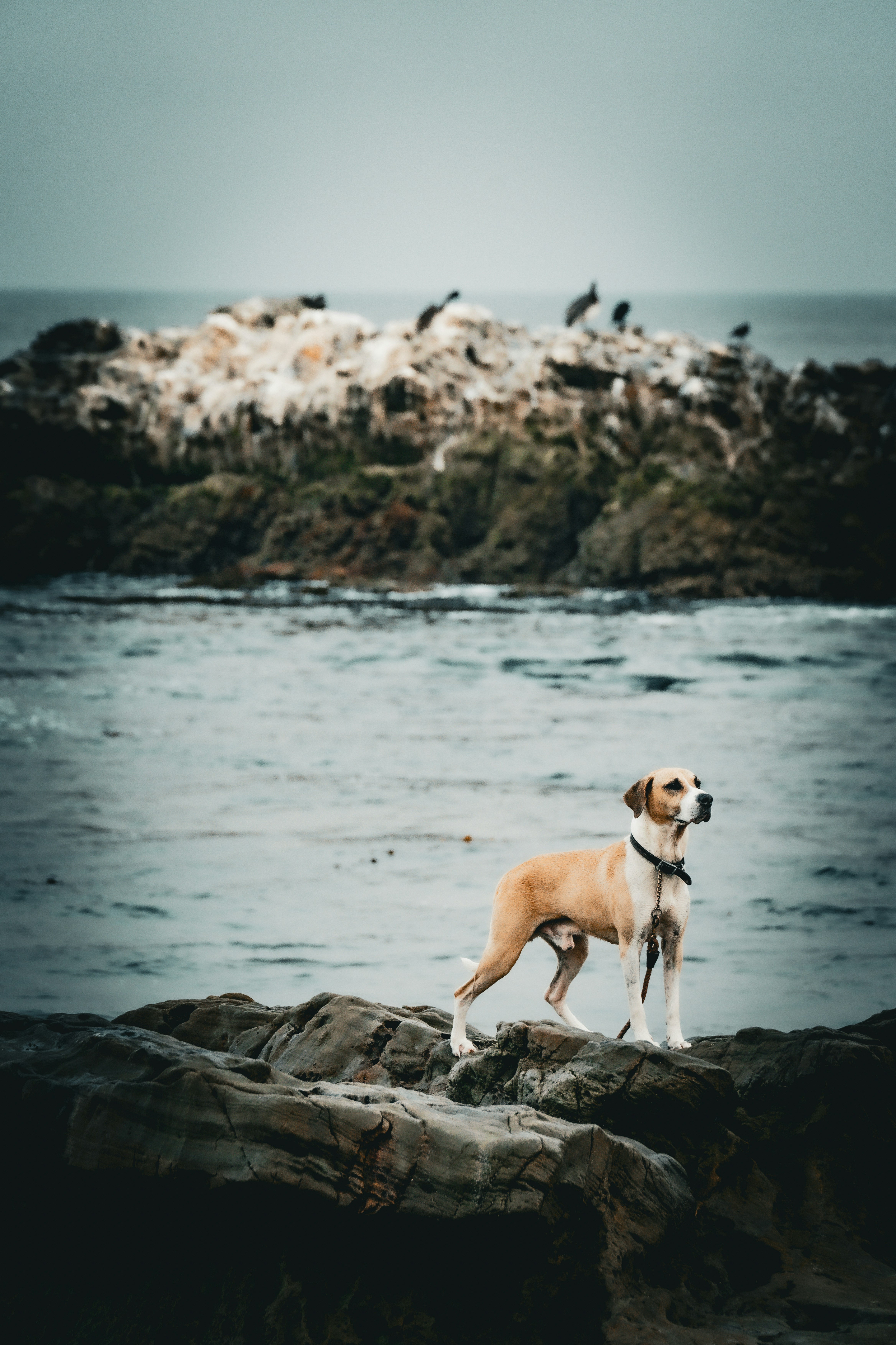 Photo by Obscura Odessey with Sony Alpha 7 IV