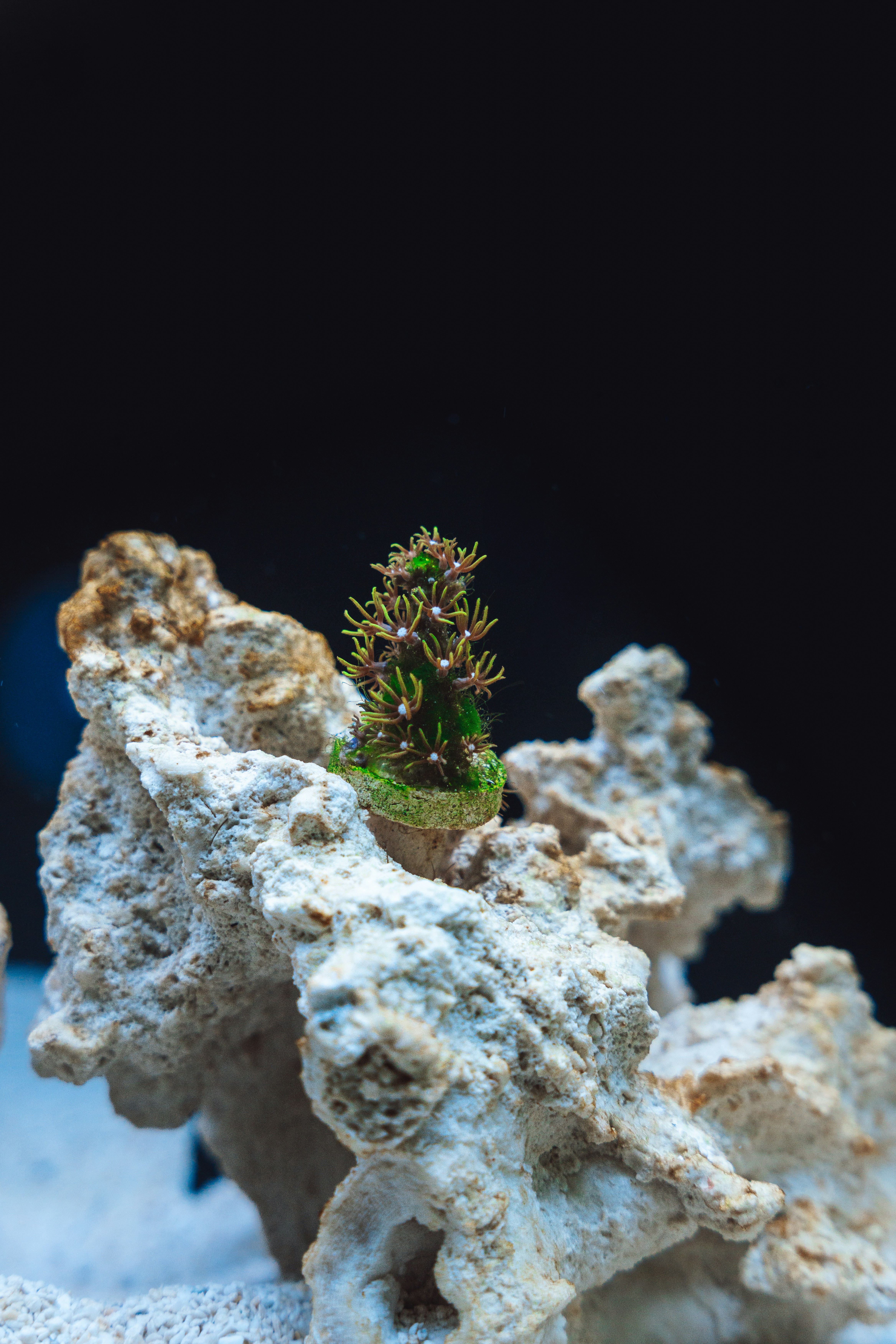 Photo by Dust & Pixels with Sony Alpha 7 IV