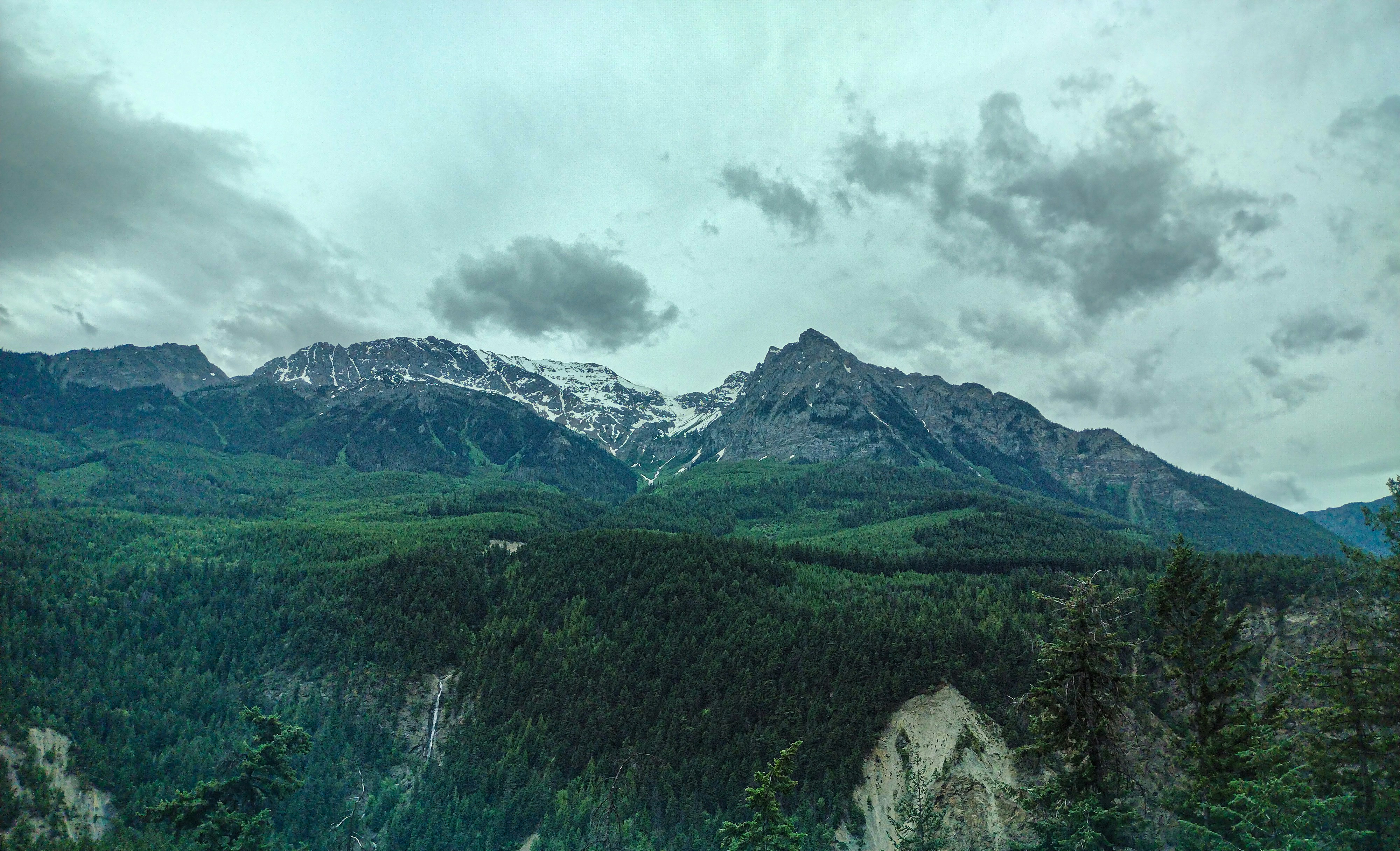 Photo shows a forested foothill rising to jagged, snow-dusted peaks beneath a cloudy sky.