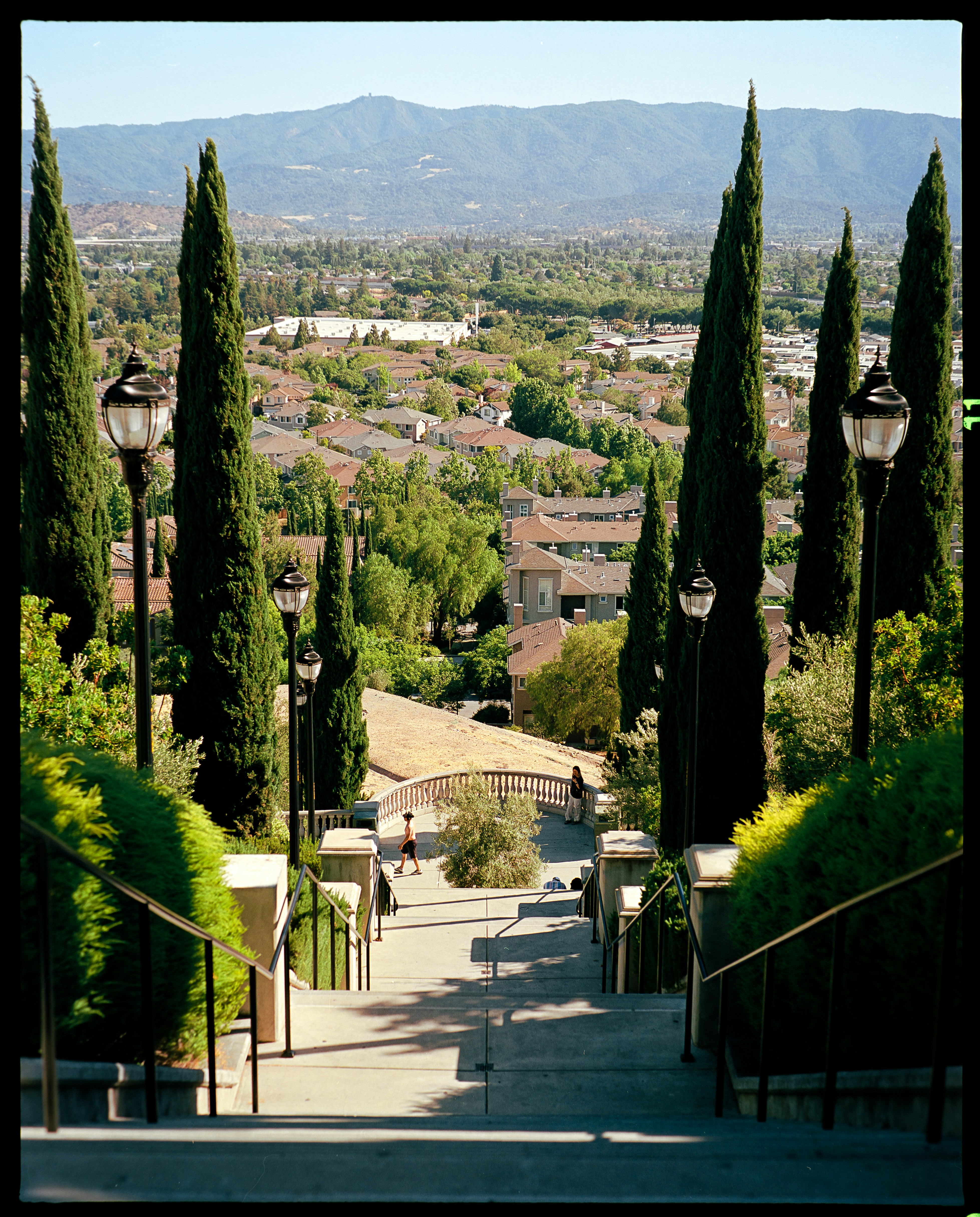 View from a staircase lined with tall cypress trees, overlooking a suburban landscape and distant mountains. The scene captures a peaceful transition from urban life to nature.