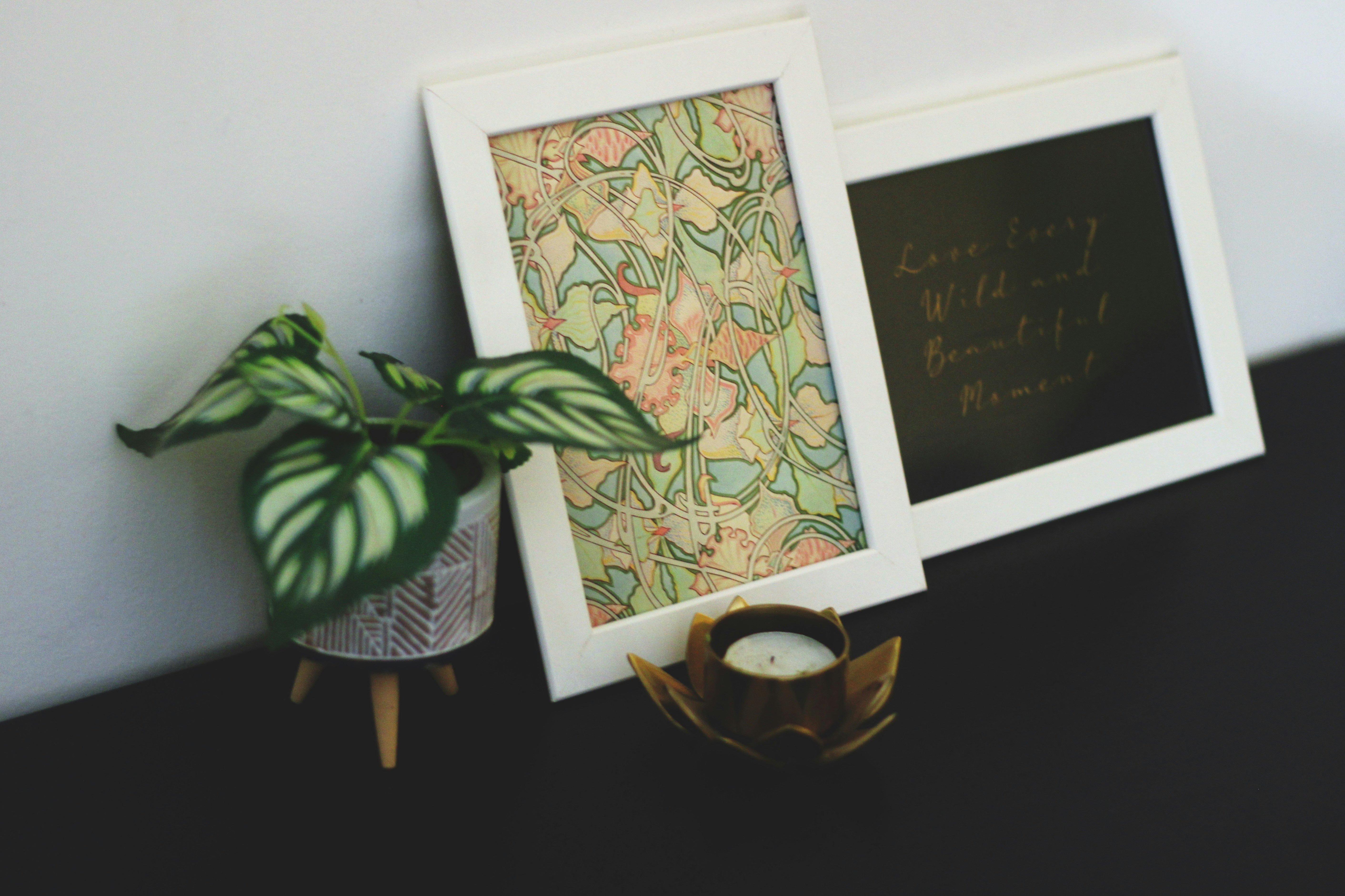 Two White Frames, One Leaf: A Quiet Desk Portrait of Pattern and Light
