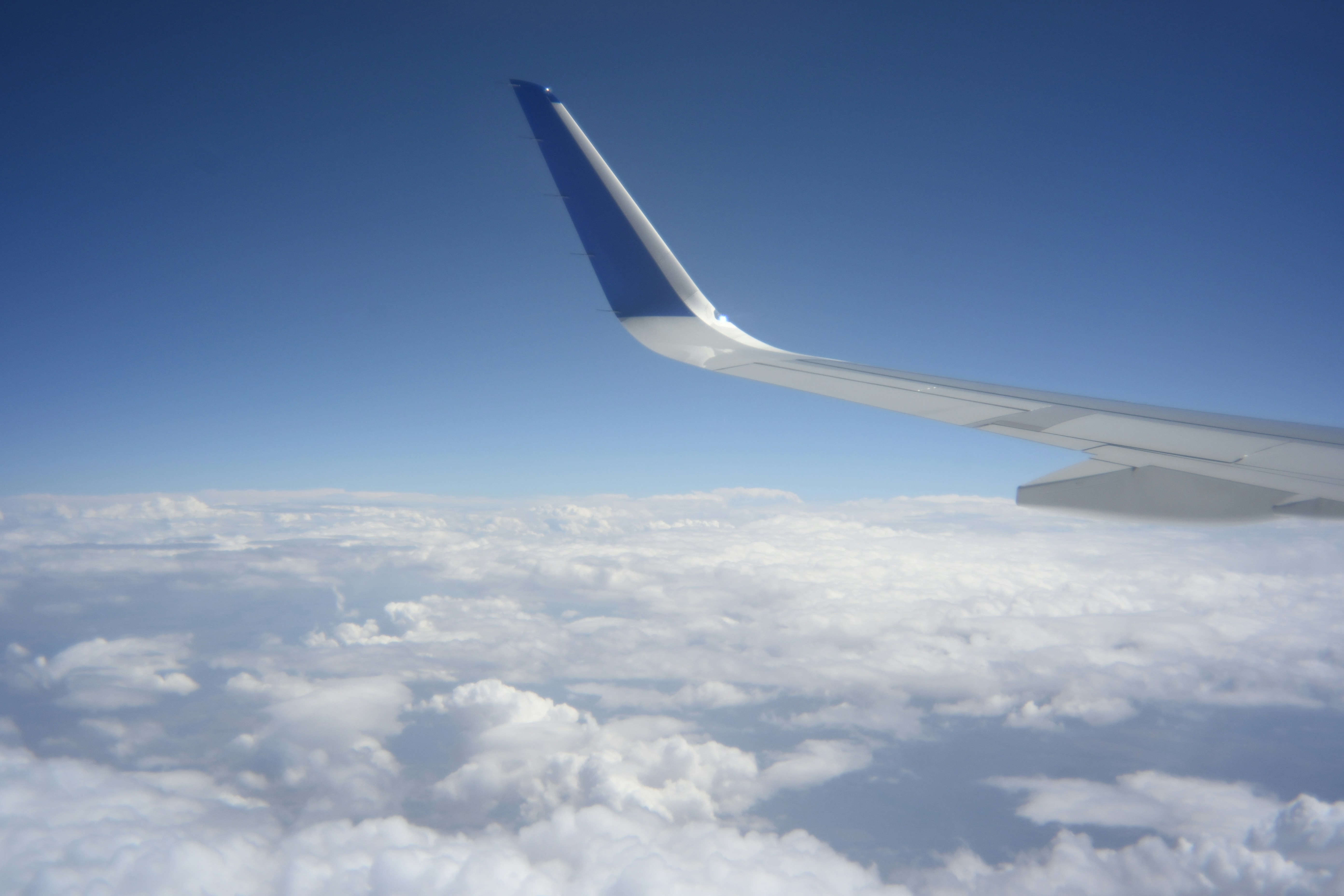 Photo by Steven Lewis with Nikon Zfc