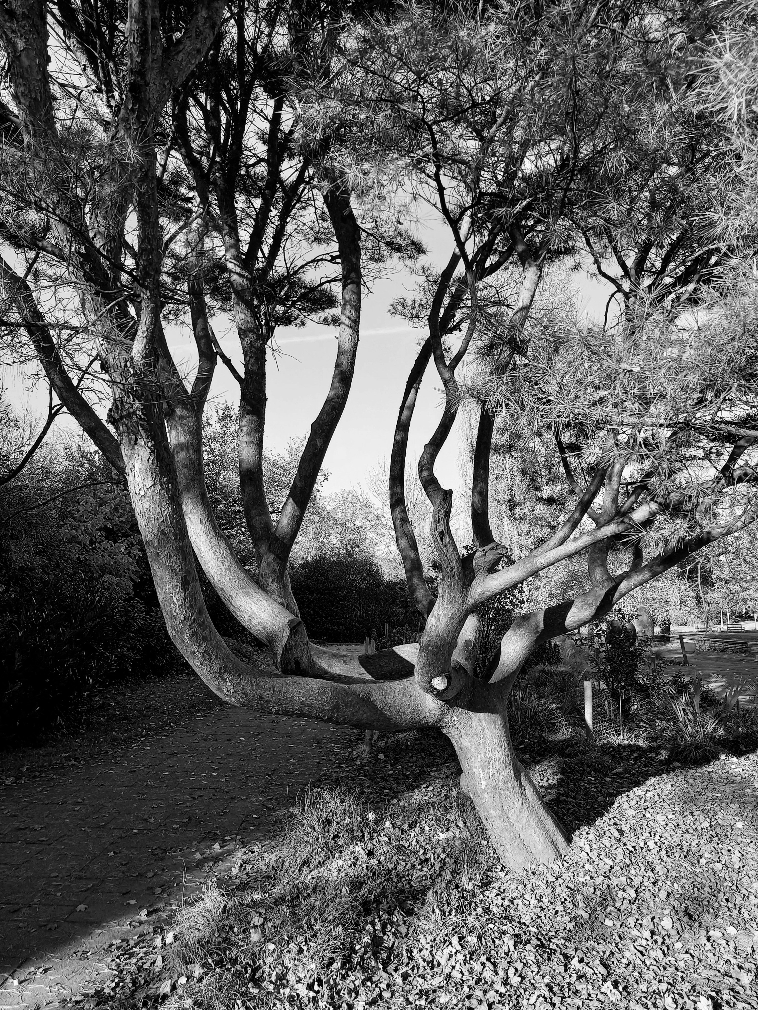 Photo by Frank Weichelt with Samsung Galaxy A41