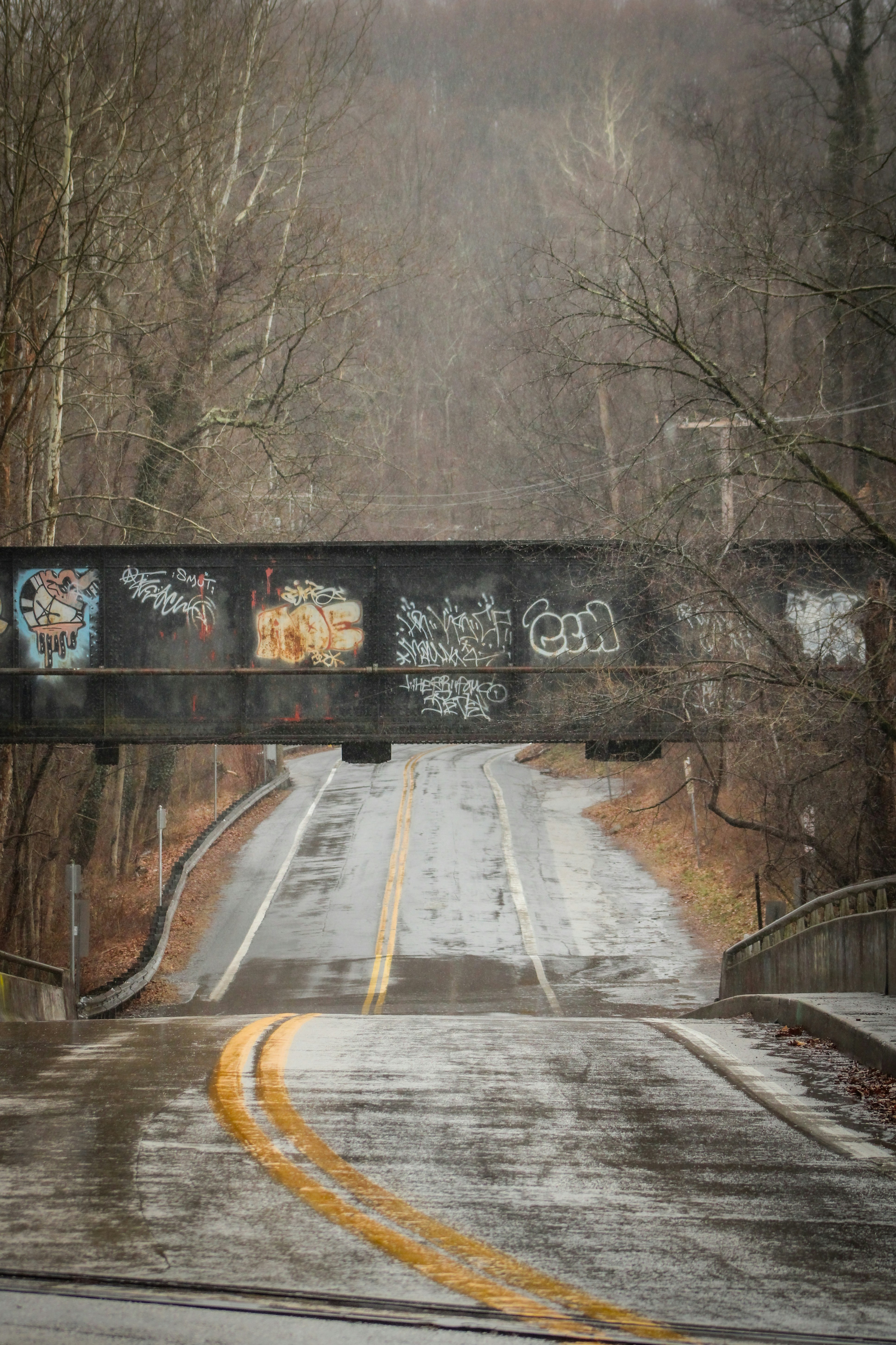 Photo by Caleb Walley with Canon EOS 2000D