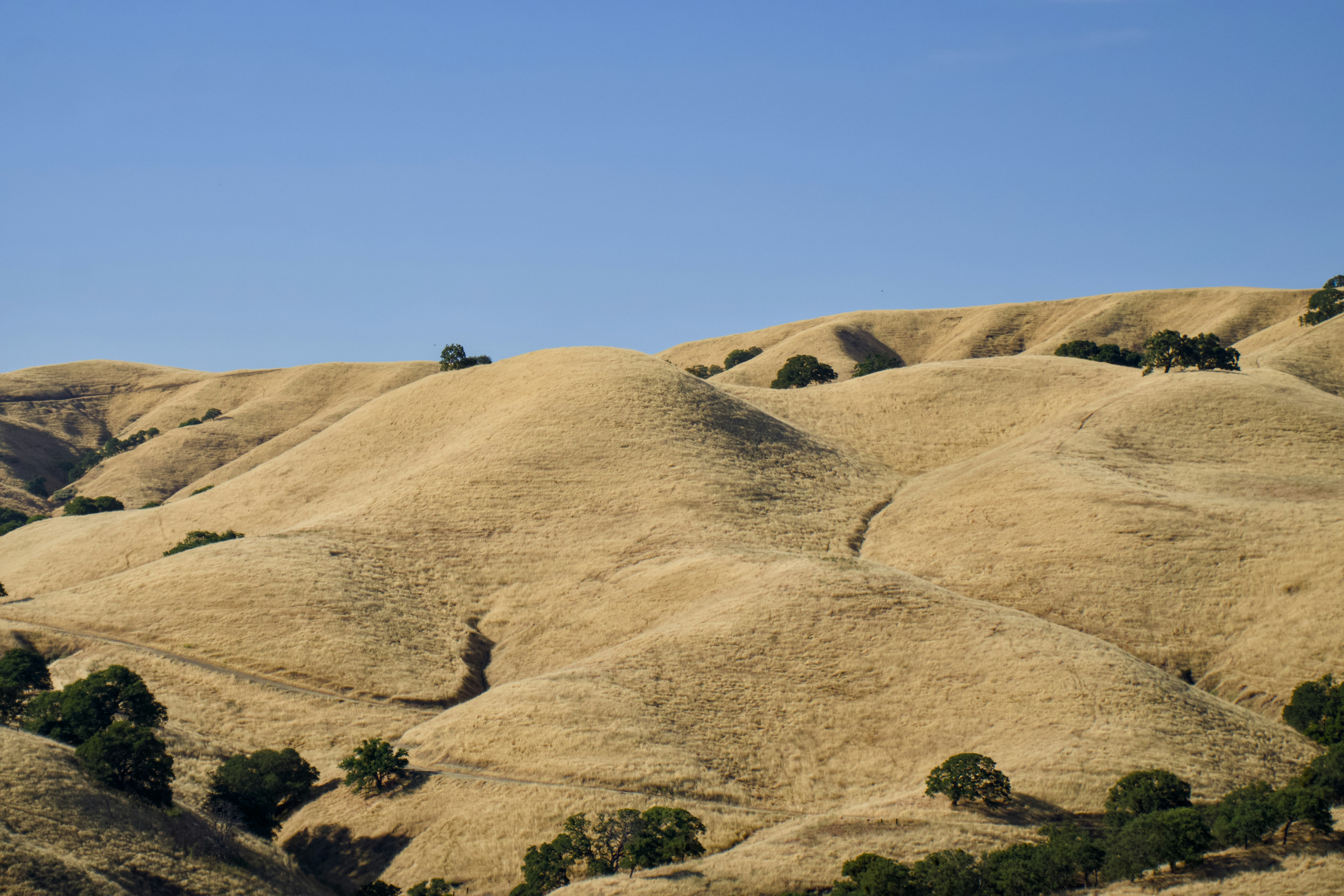 A view of a hilly area with trees in the distance photo – Free Alameda ...