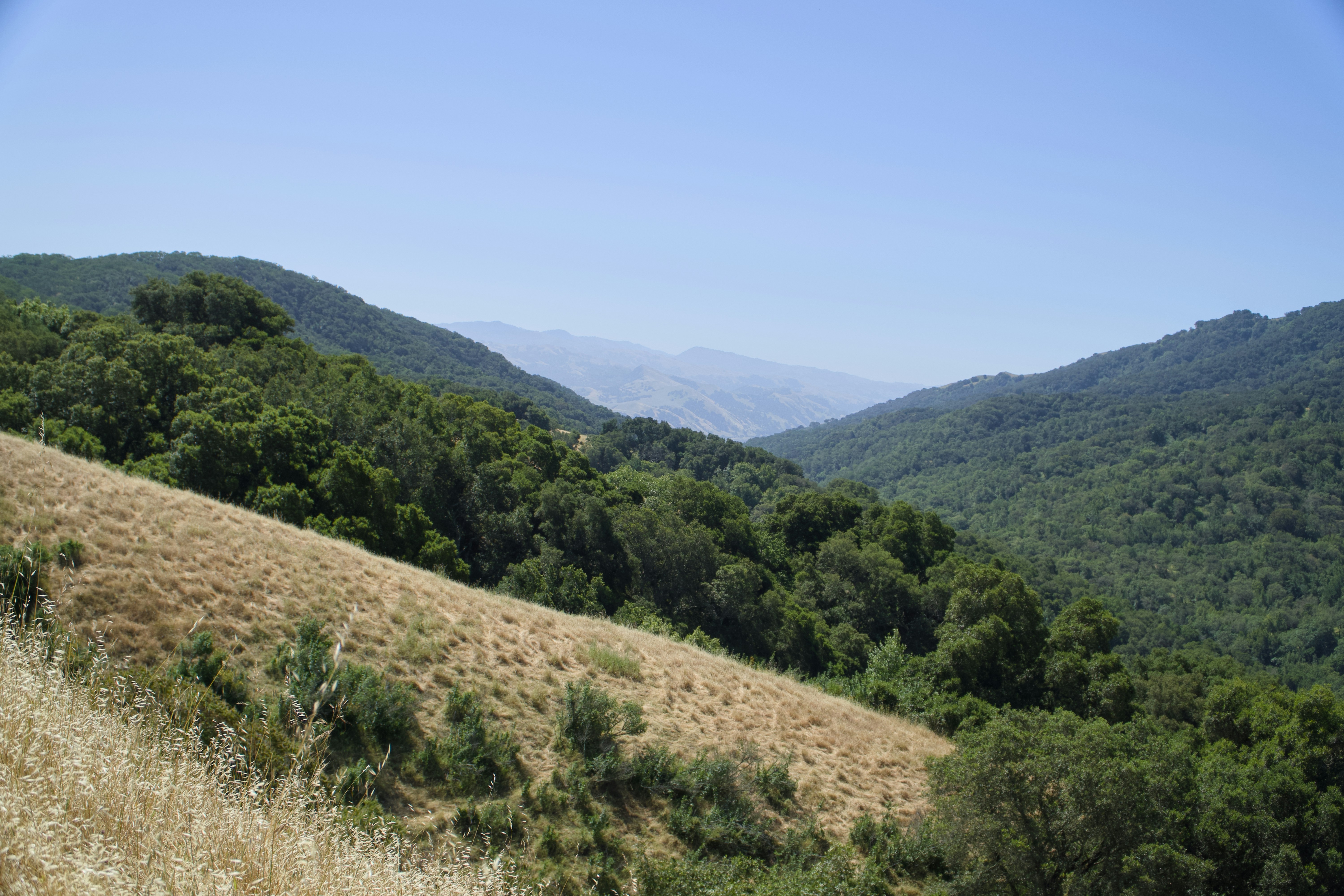 Photo by Spencer DeMera with Sony Alpha 6400