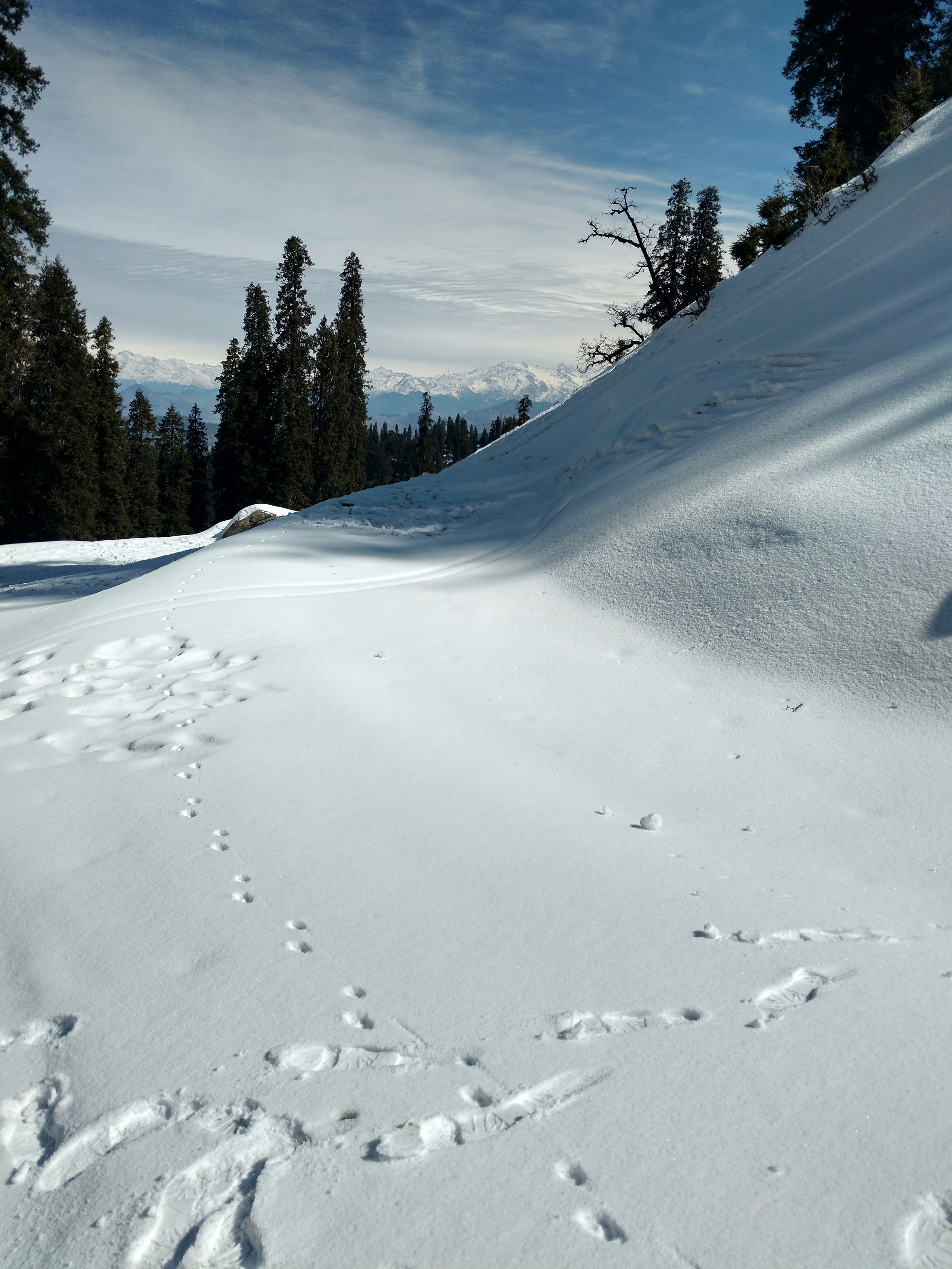 A snow trek to hattu peak.