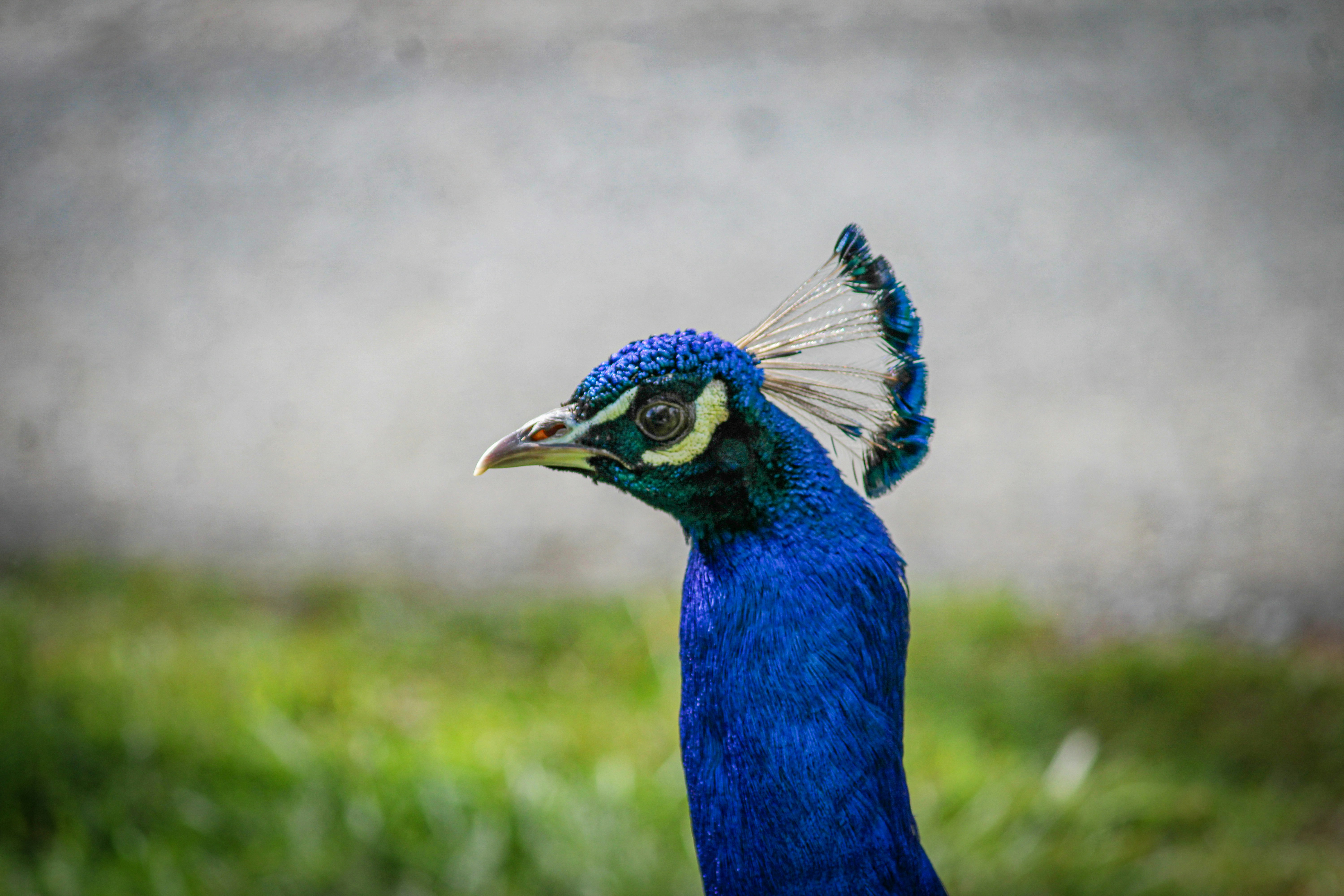 Photo by jatin goel with Canon EOS 1500D