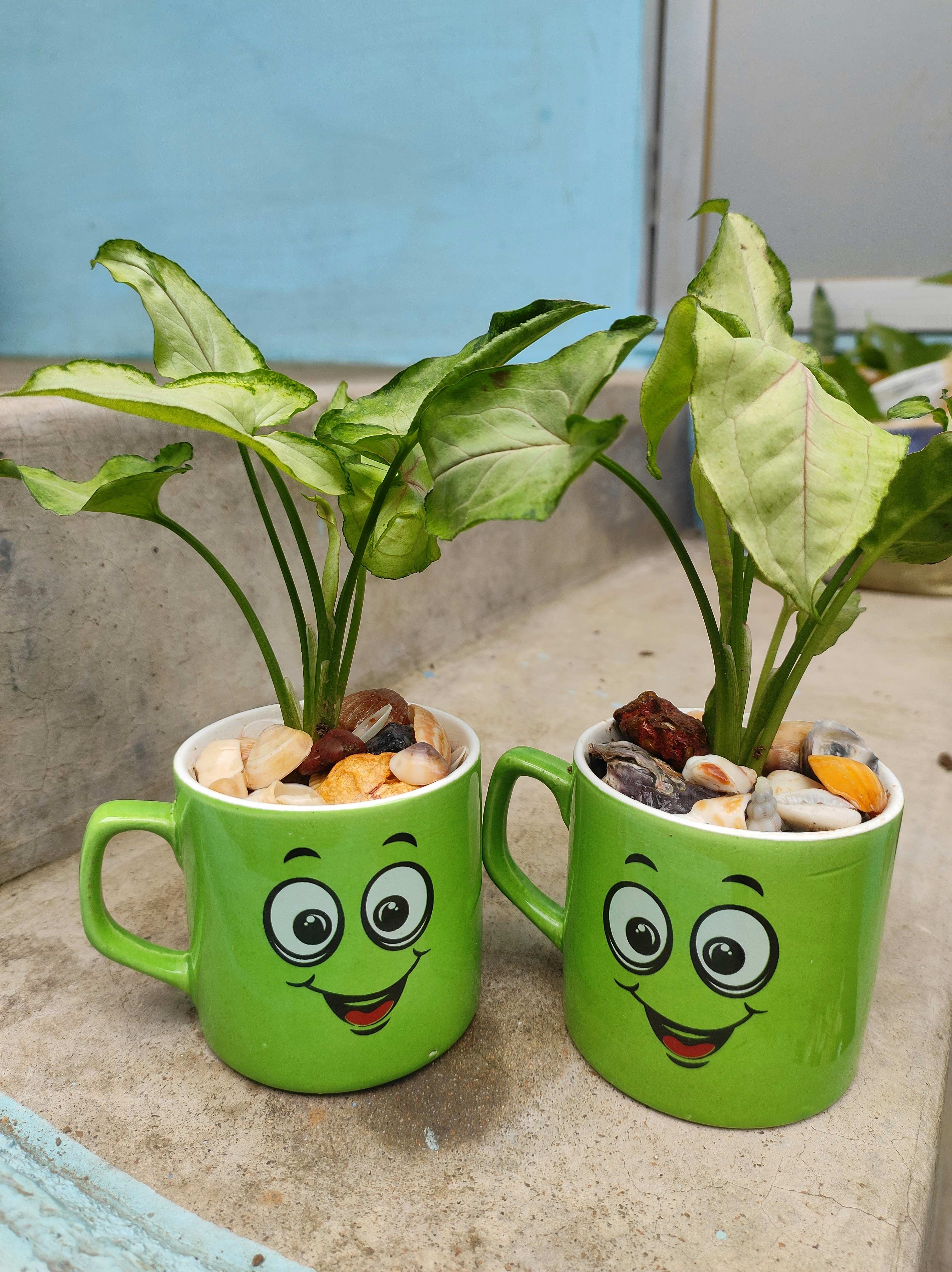 Photo by Shyamli Kashyap with Redmi Note 10 Pro