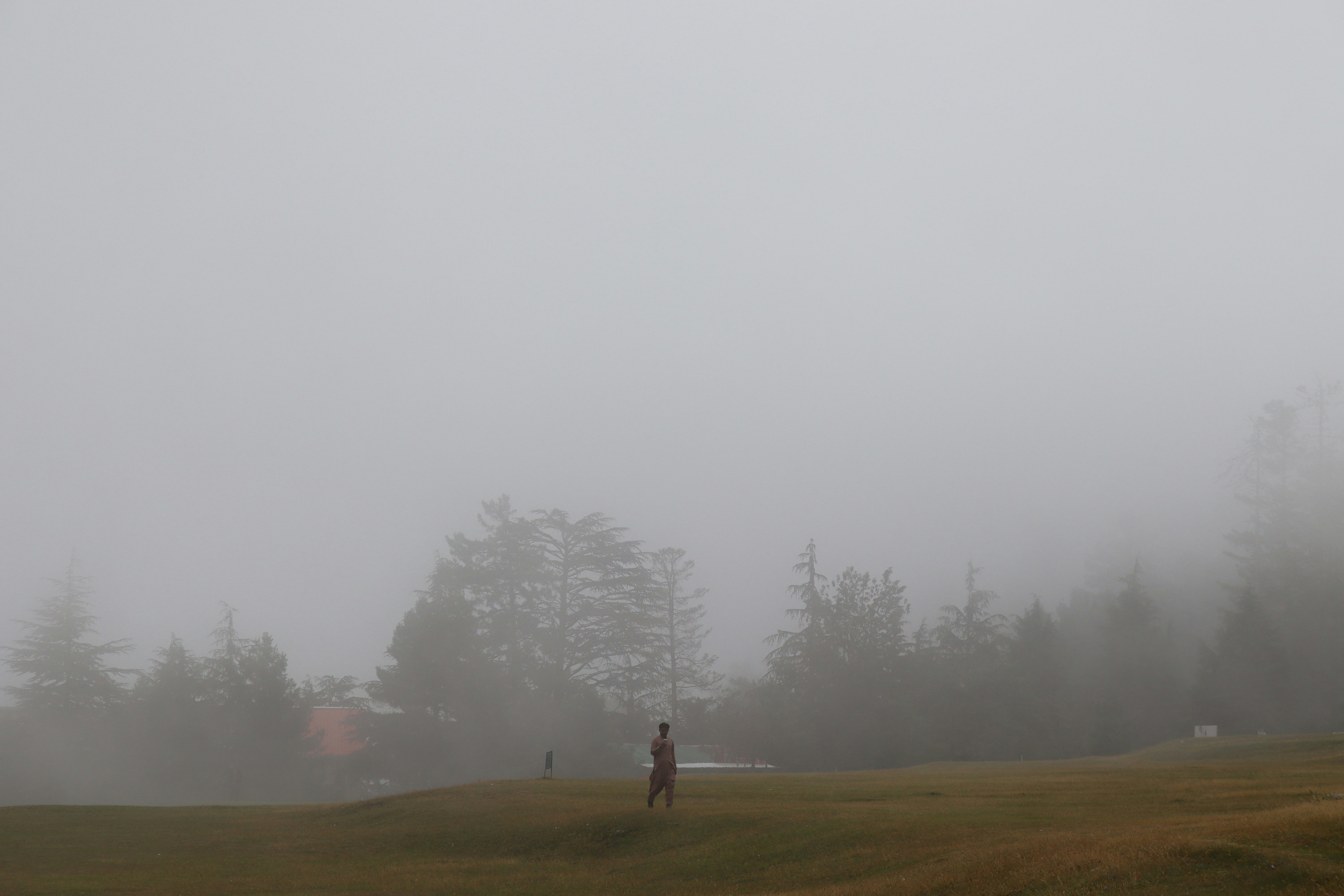 Lone Walker in a Fogbound Meadow