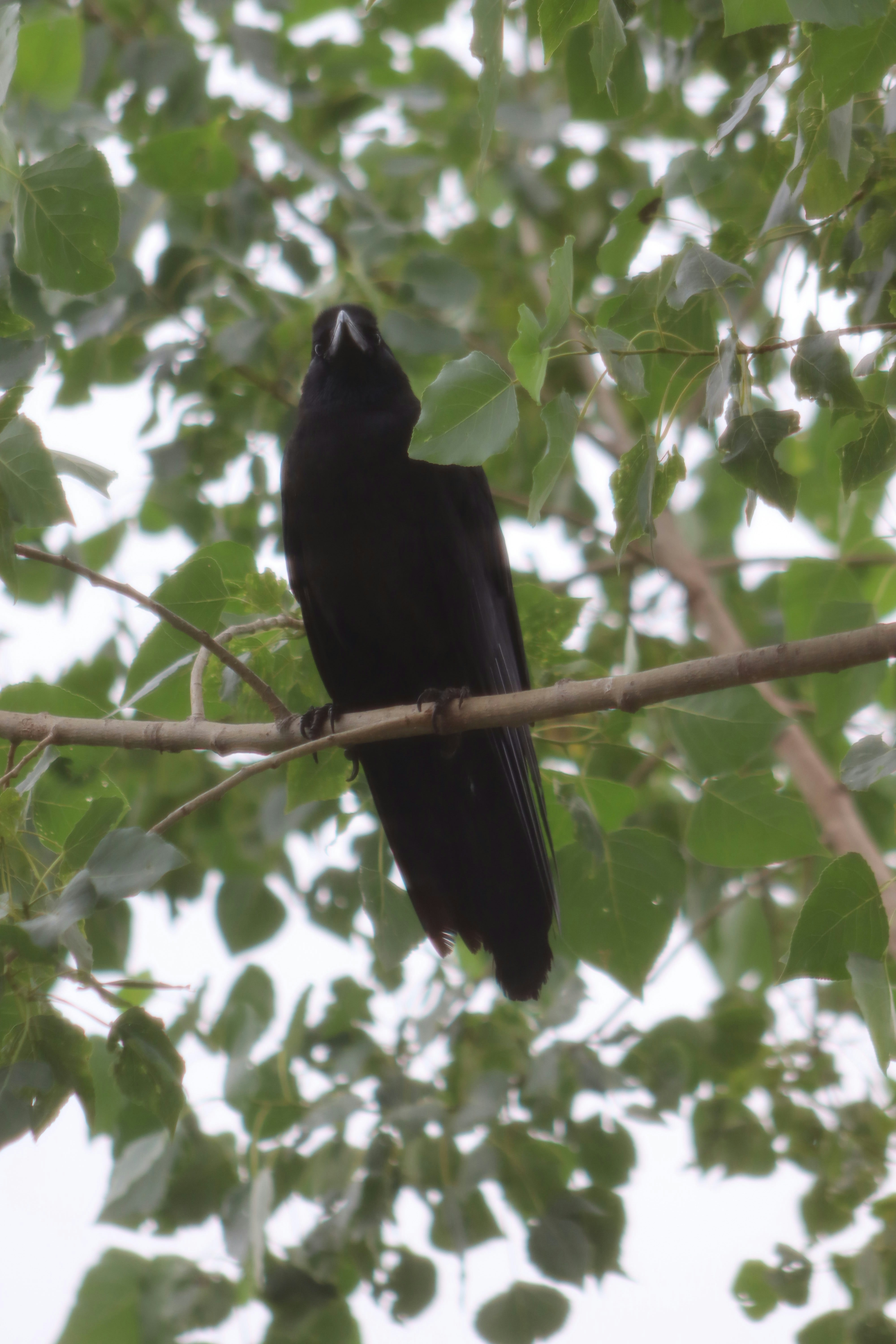 Photo by Anees Ur Rehman with Canon EOS 250D