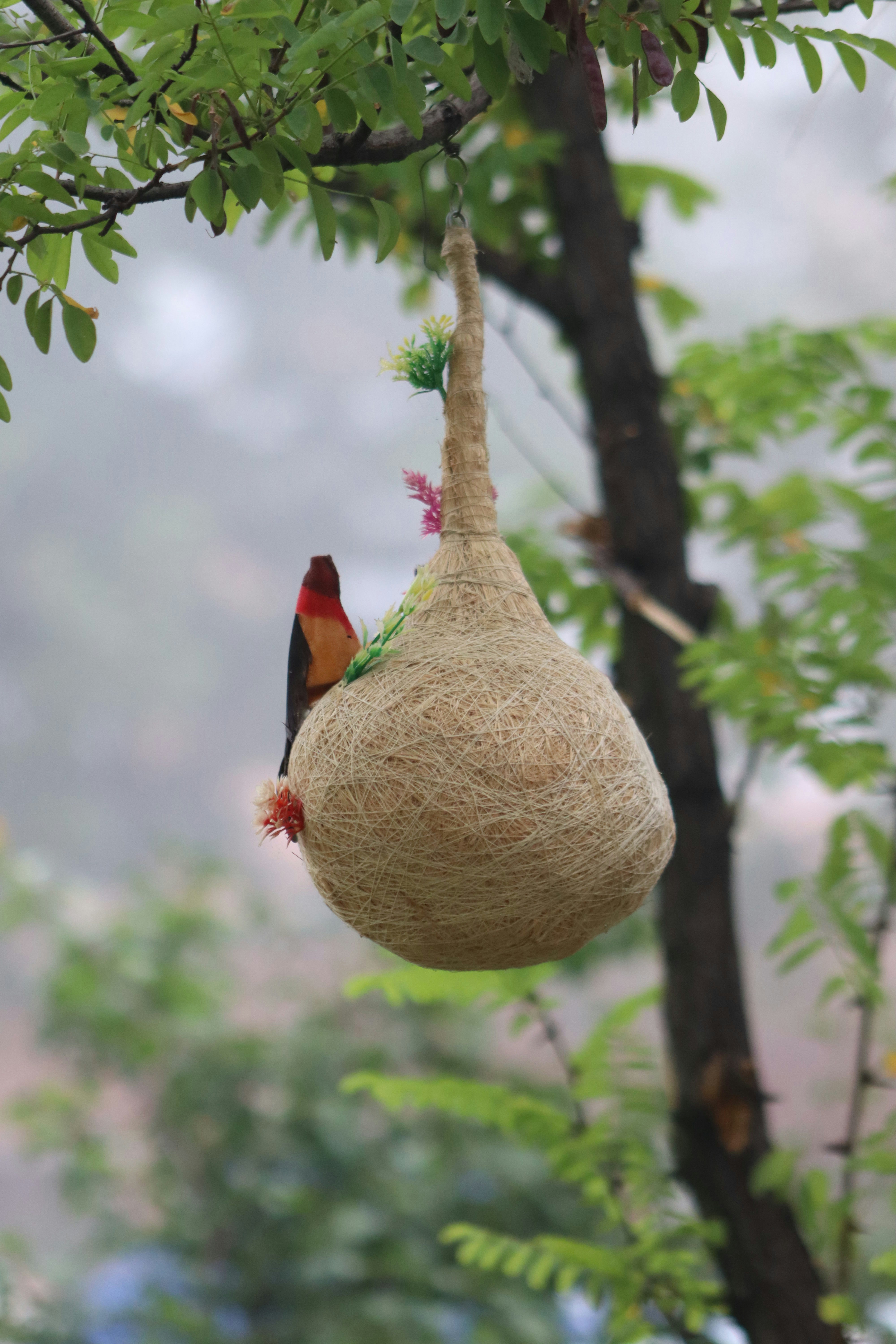 Suspended Woven Nest in a Misty Garden