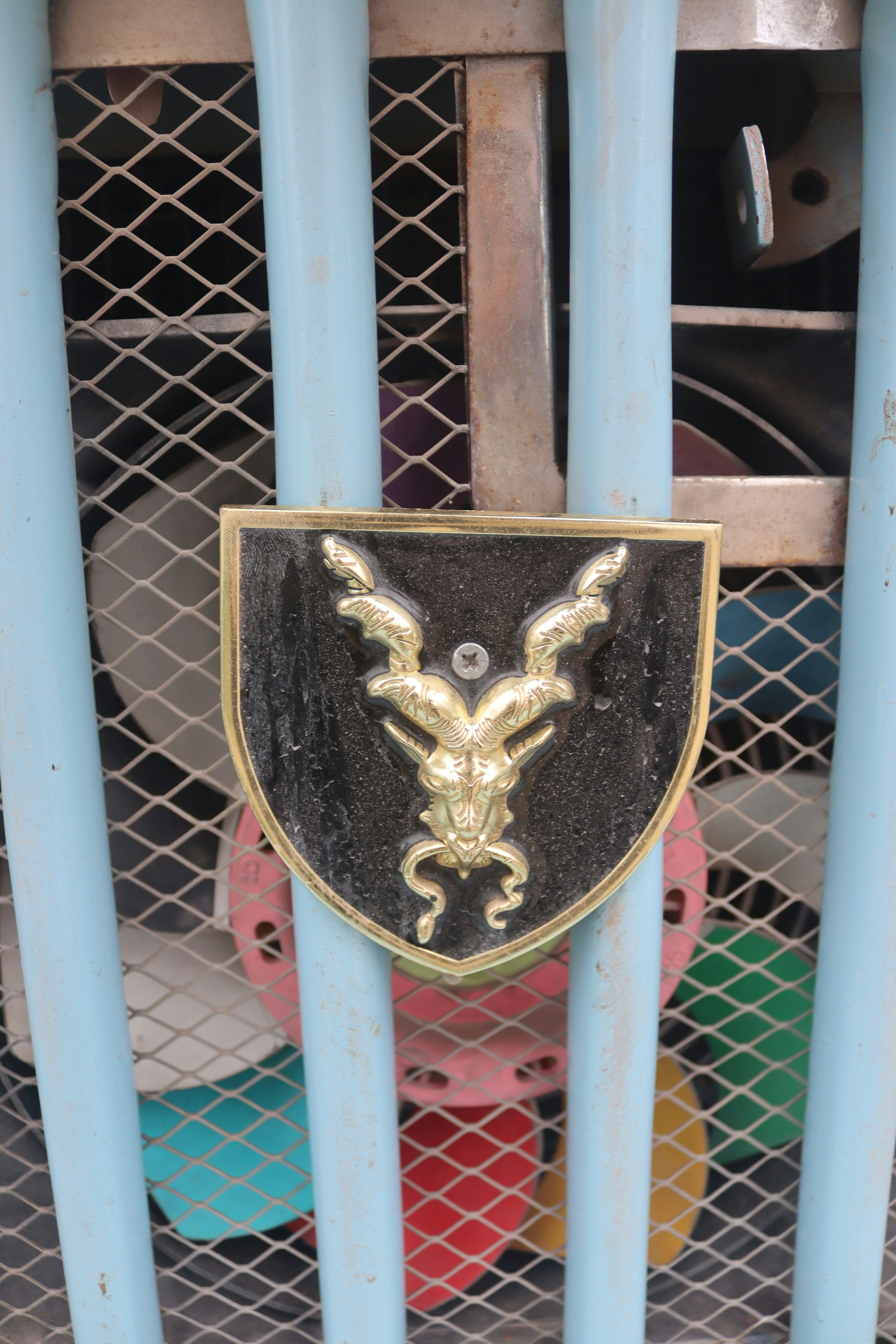 Horned Crest in Powder-Blue Bars: A Close-Up on a Brass Shield Emblem