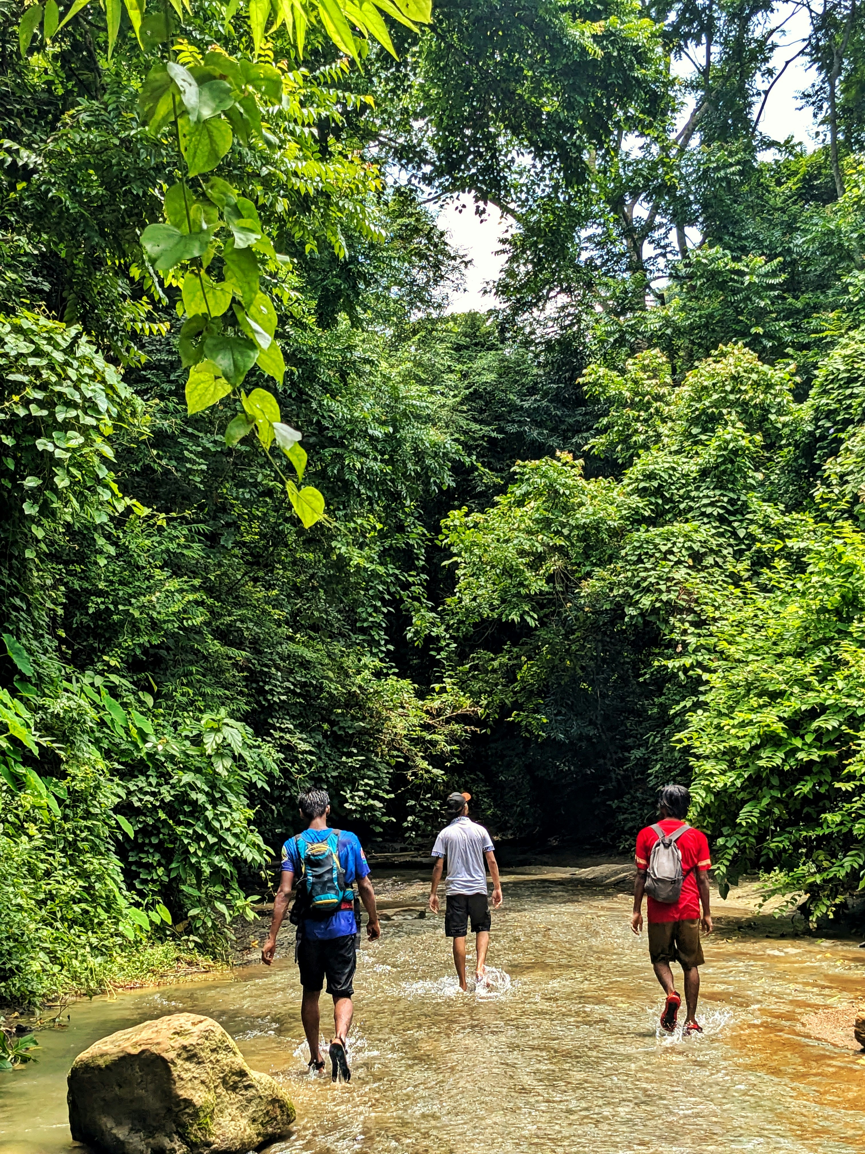 Saifur Rahman (@ux_saifur_info) | Komunitas Foto Unsplash