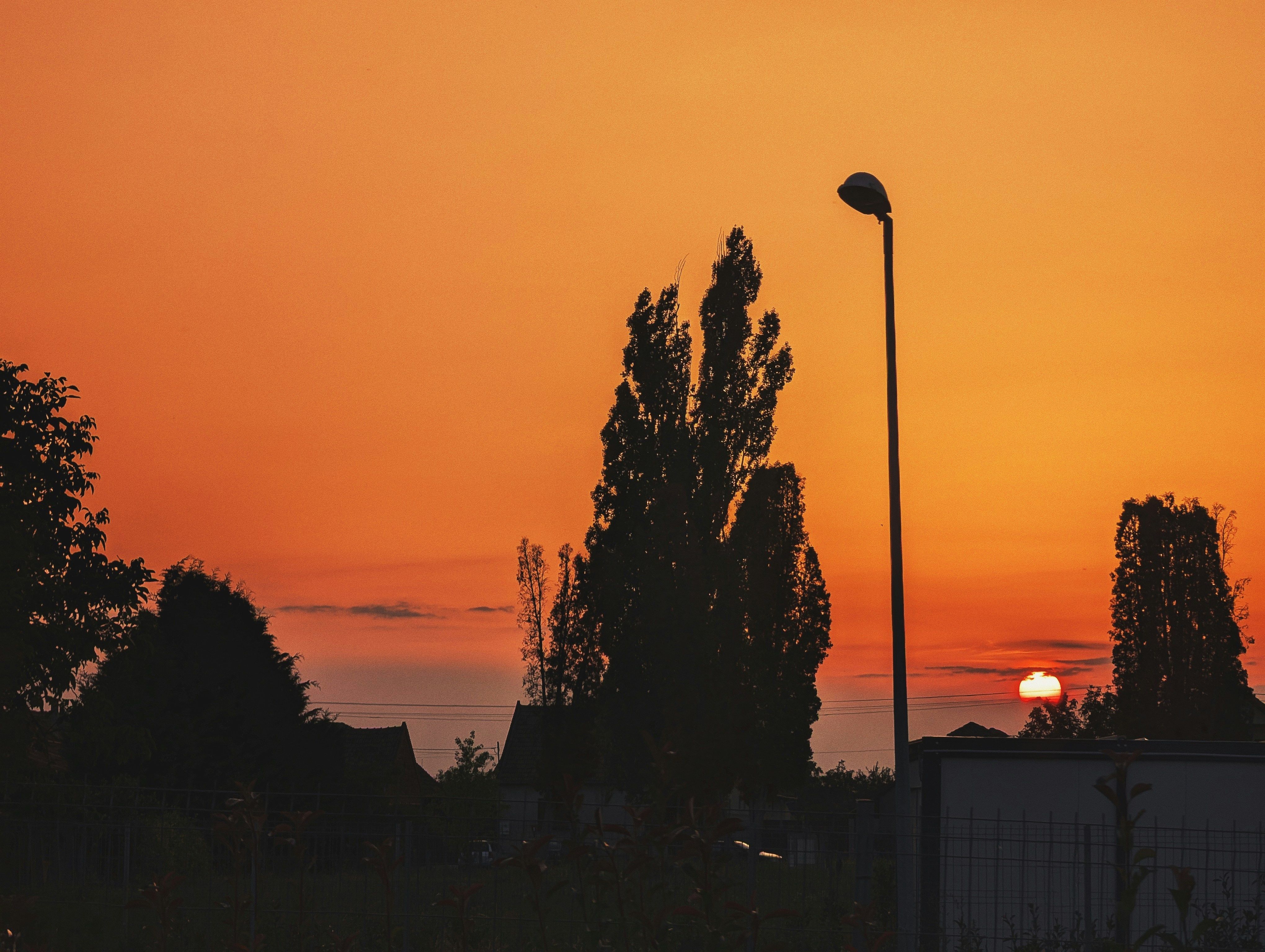 Silhouetted trees against a vibrant orange sunset, with a streetlamp standing sentinel. The scene captures the tranquil transition from day to night.
