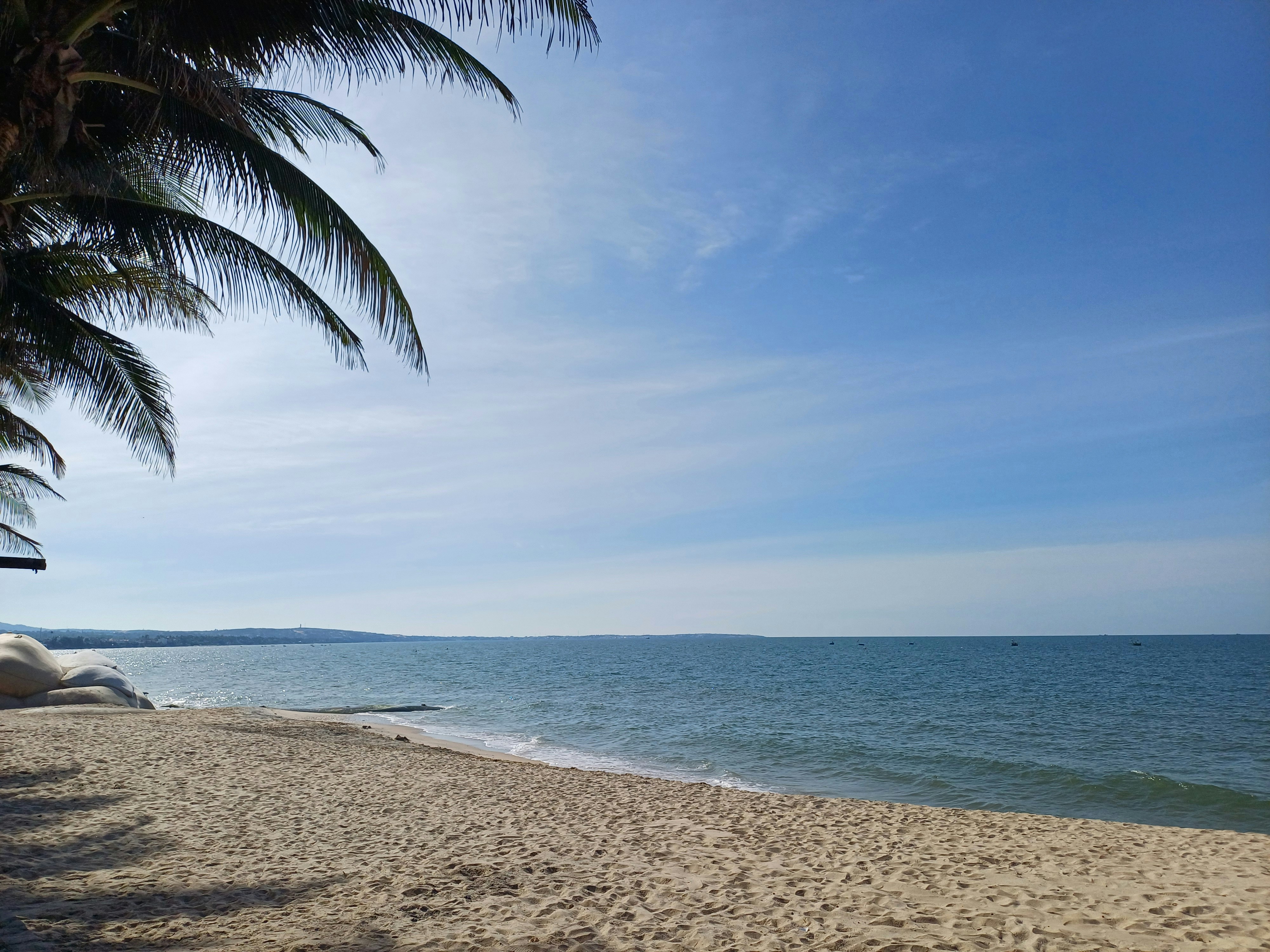 Sandy beach with gentle waves and palm trees under a clear blue sky.