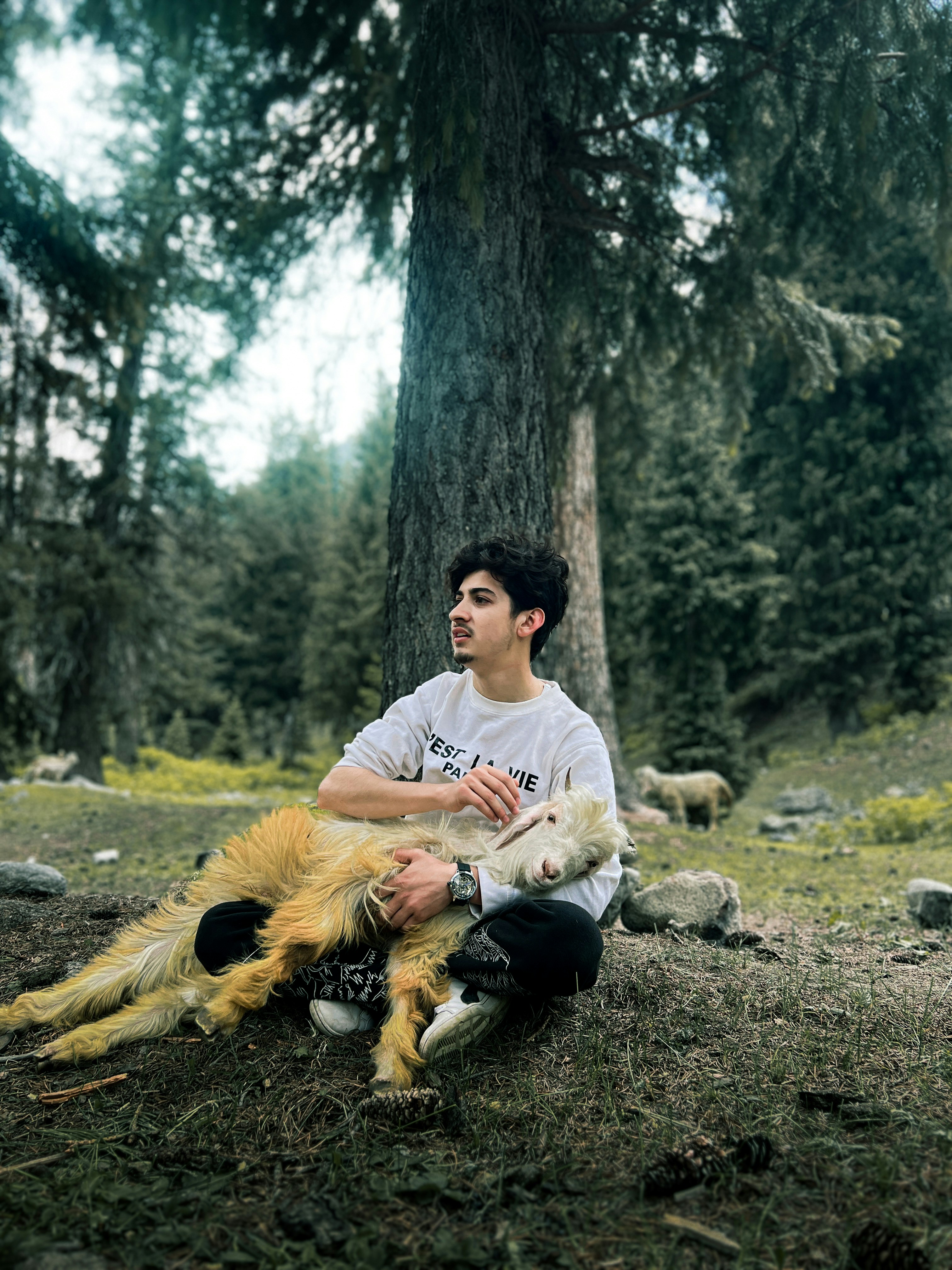 A man sitting on the ground with a dog photo – Free Forest Image on ...