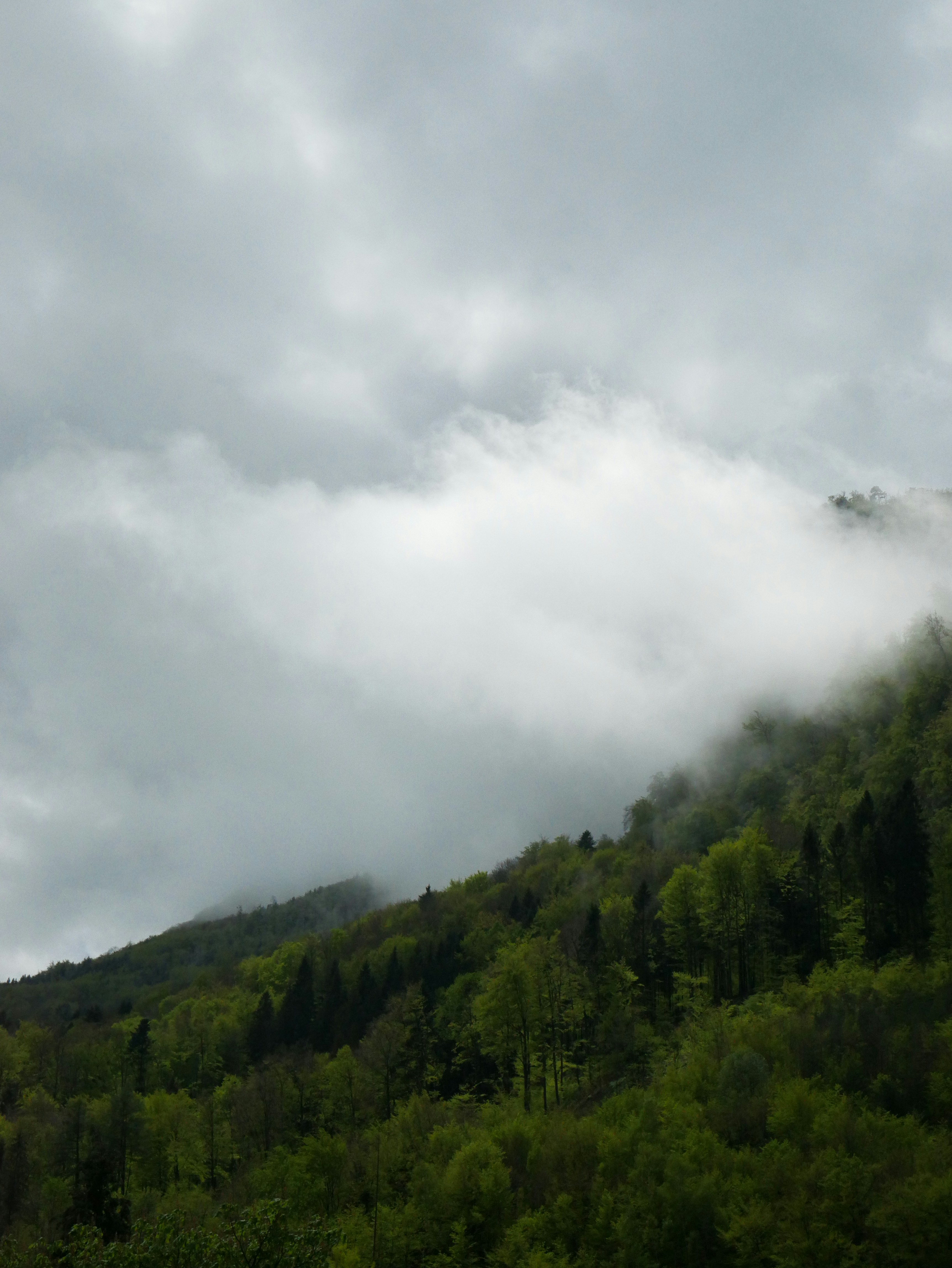 Photo by Serhii Karavan with Panasonic Lumix G7