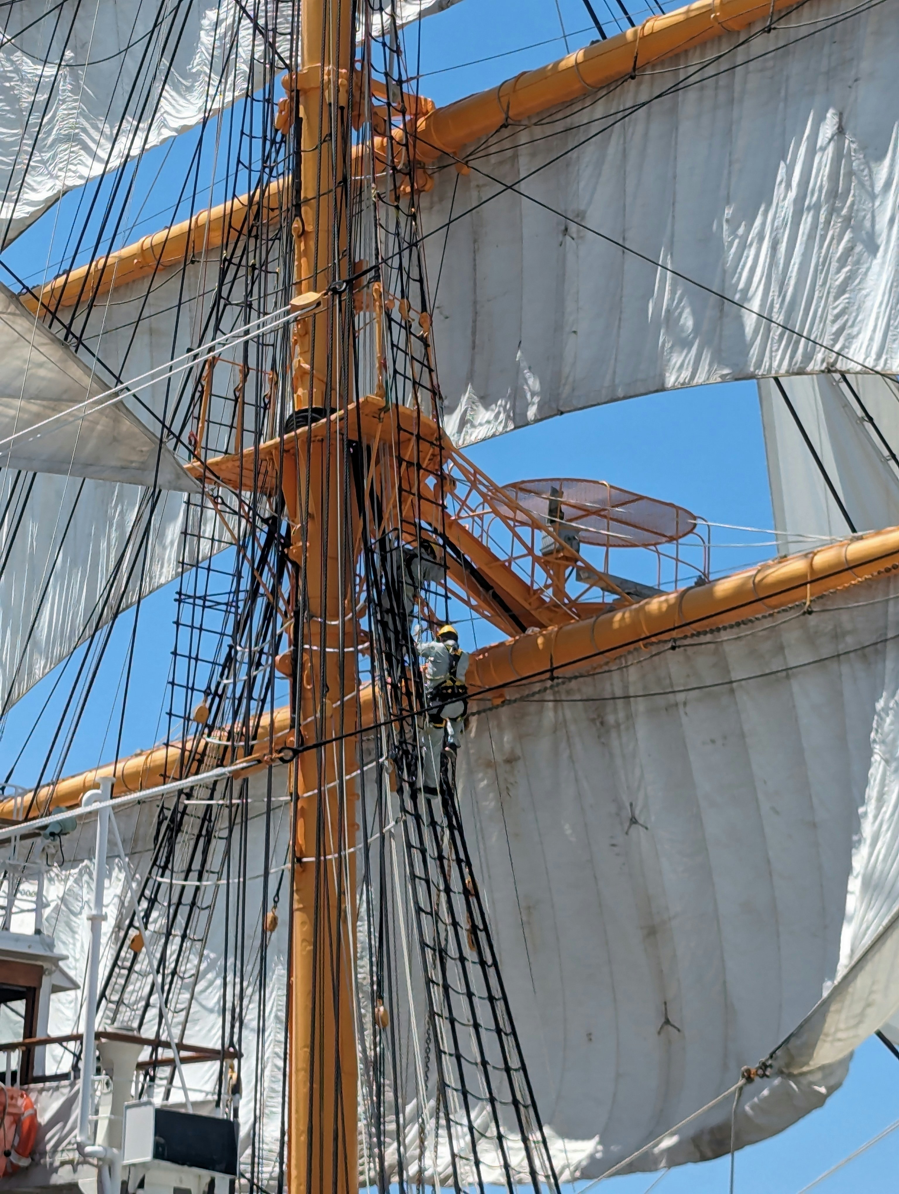 A large white sail boat sailing on a body of water photo – Free Ship ...