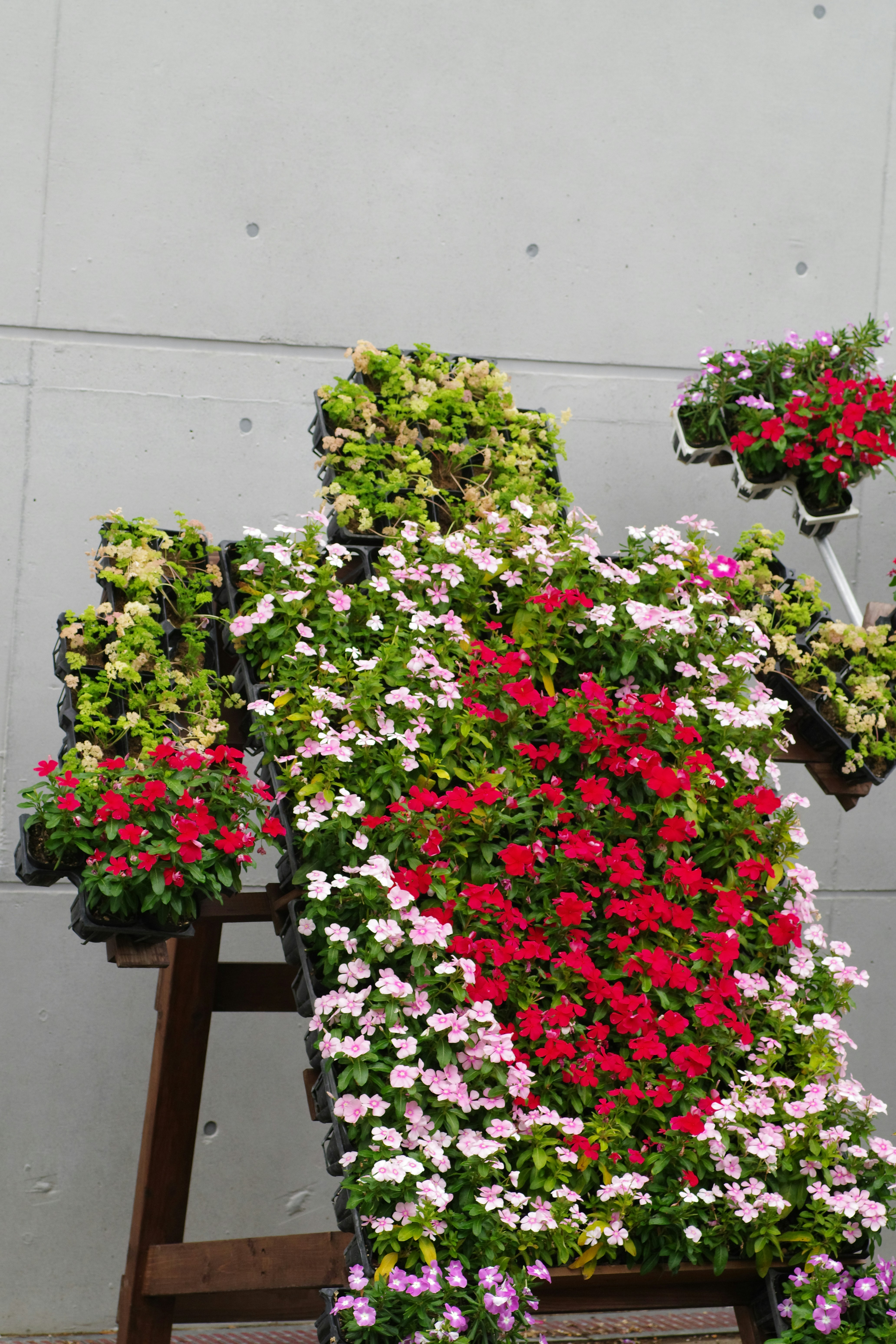 Tiered Blooms Cascade: Pink, Red, and White Petunias on Rustic Stands