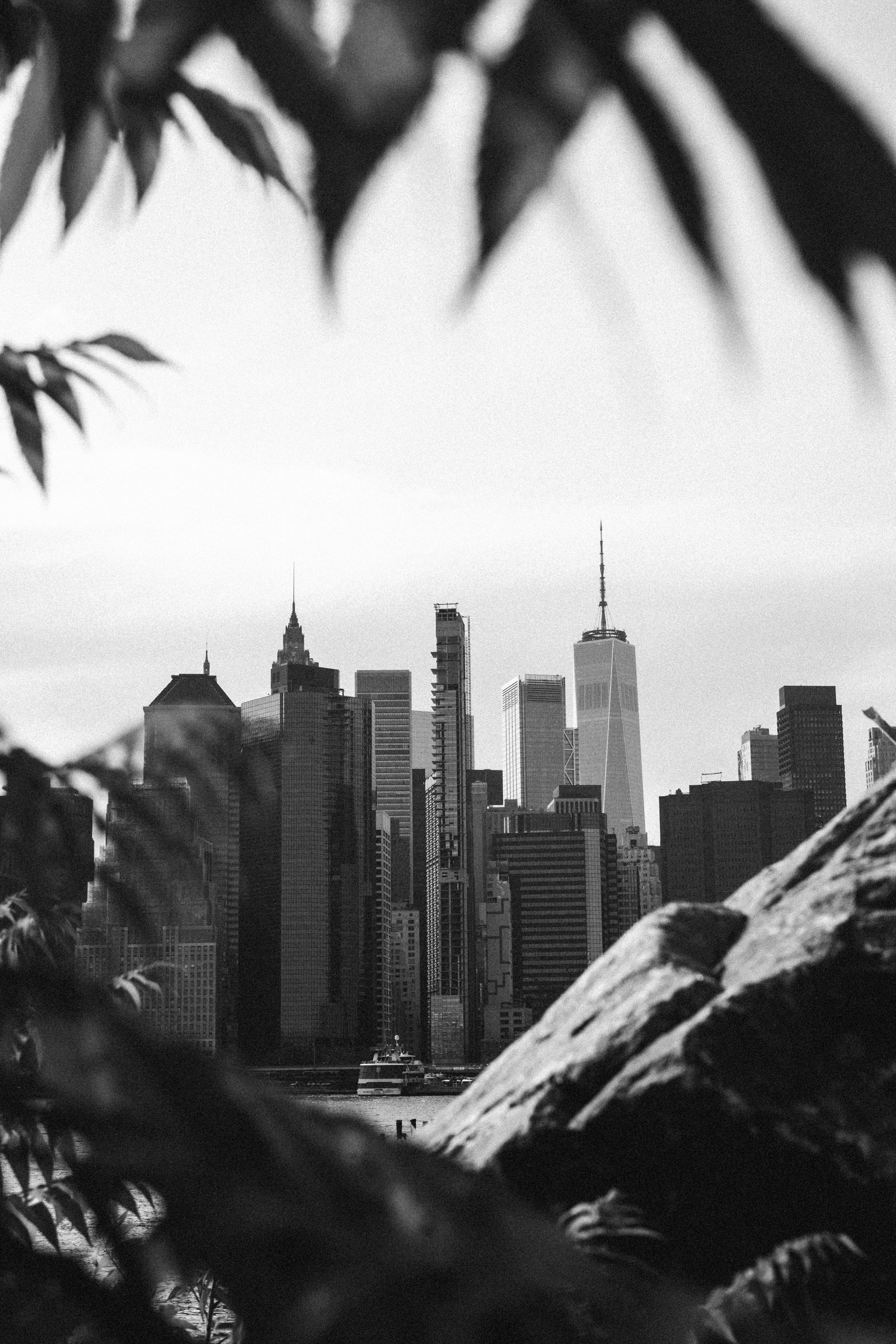 Framed Metropolis: A Black-and-White Skyline Fringed by Leaves and Rock