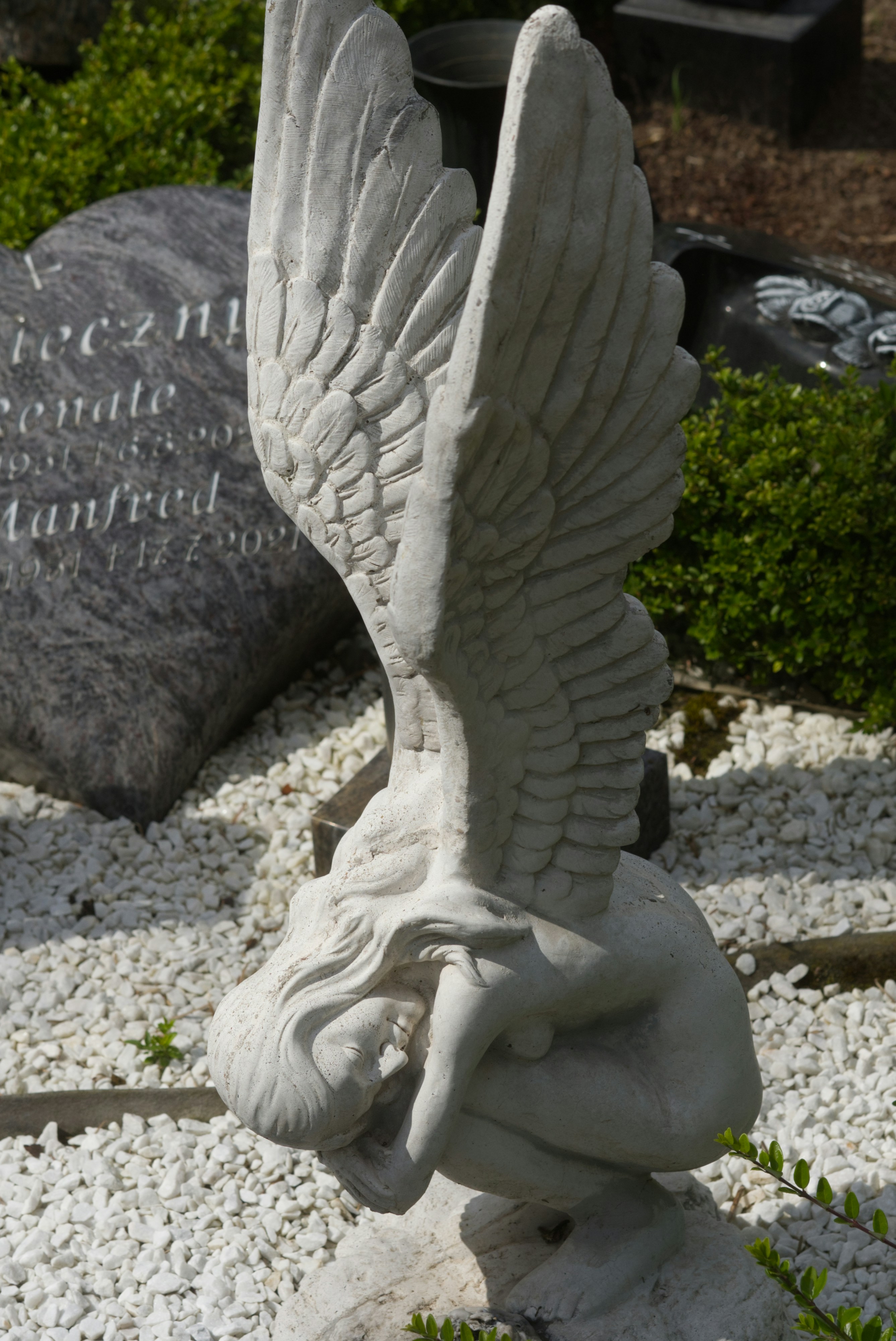 Winged Guardian in White Stone: A Quiet Graveyard Garden Moment
