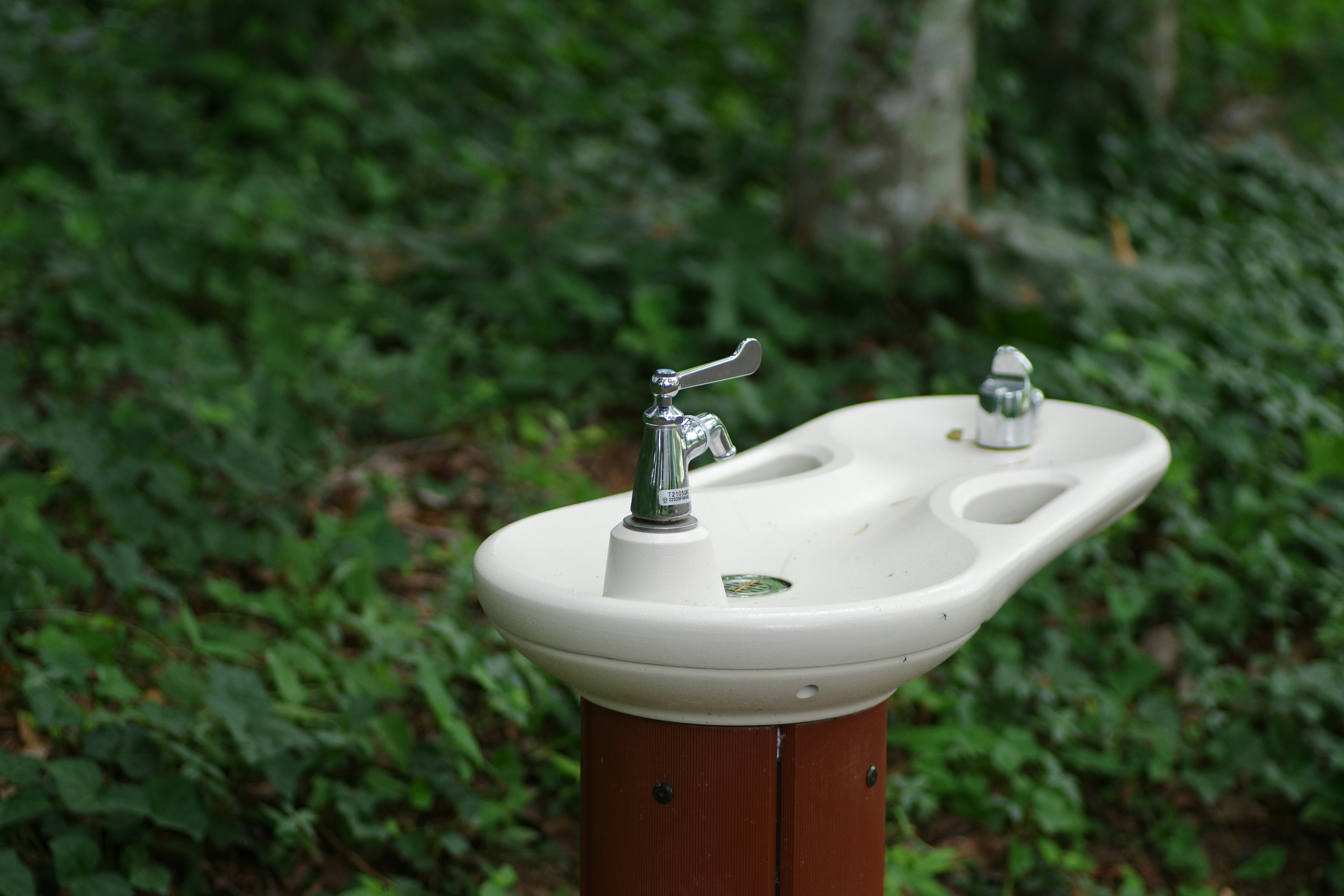 A white outdoor drinking fountain mounted on a wooden post sits at forest edge, surrounded by dense green foliage. The scene emphasizes functional outdoor amenity integrated with nature.