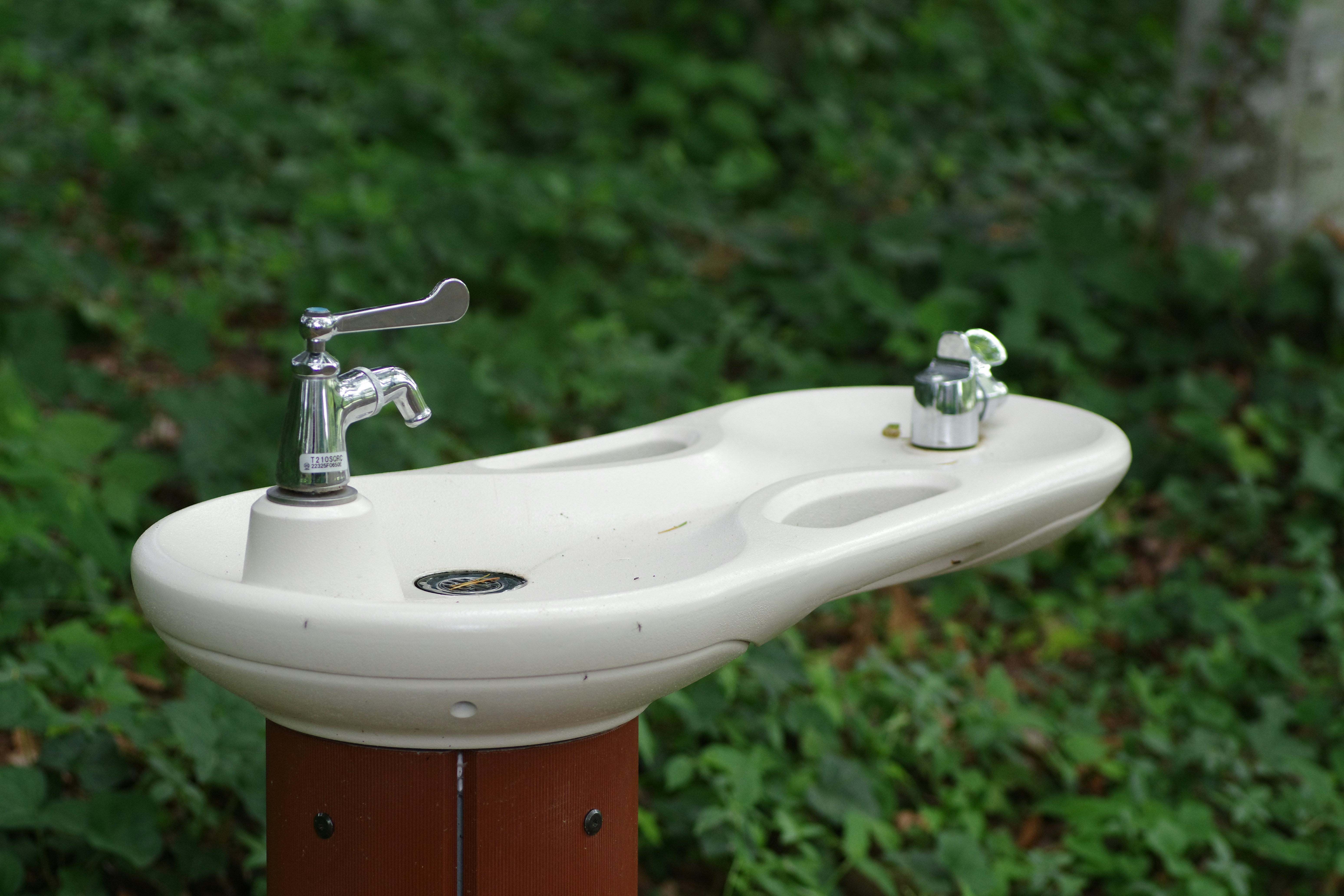 Twin Faucets over a Weathered Public Sink Rising from a Forest Ground