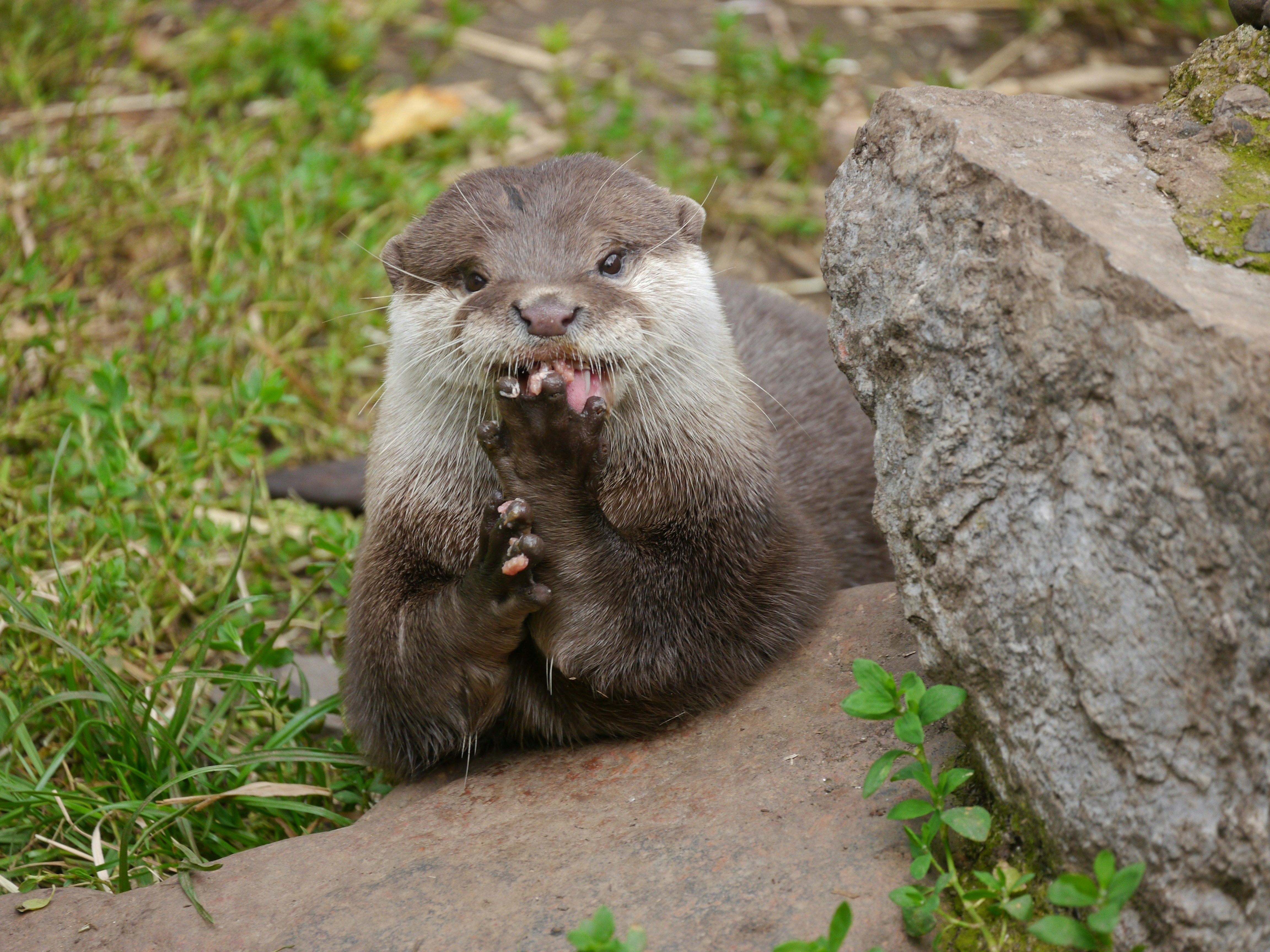 Photo by Jim with Panasonic Lumix G5