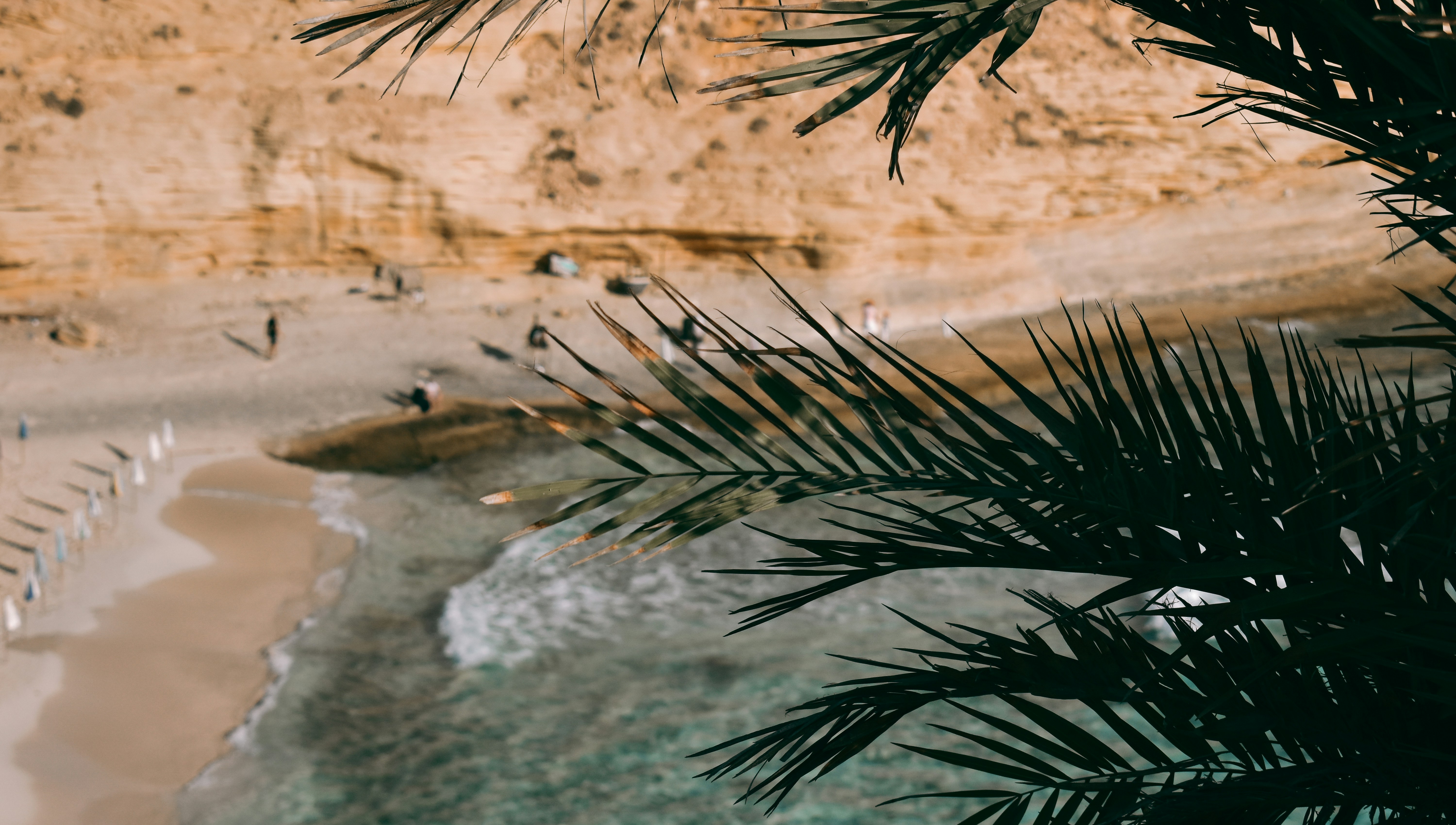 Palm Fronds Framing a Seaside Cliff