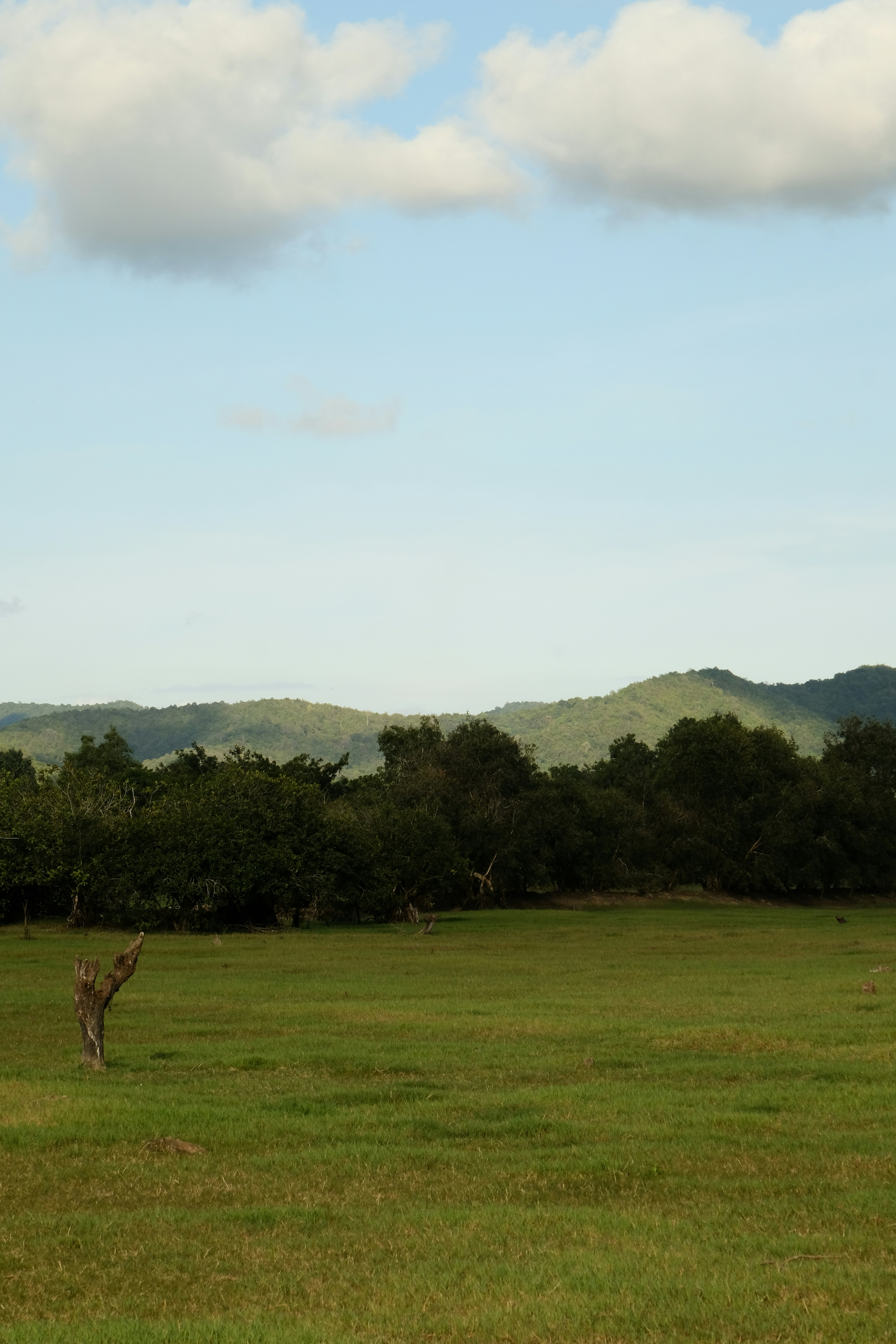 Govno Png Pictures | Download Free Images on Unsplash