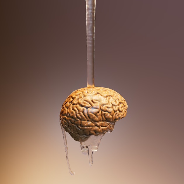 How Alcohol Impacts the Brain: An Authoritative Beginner’s Guide ...