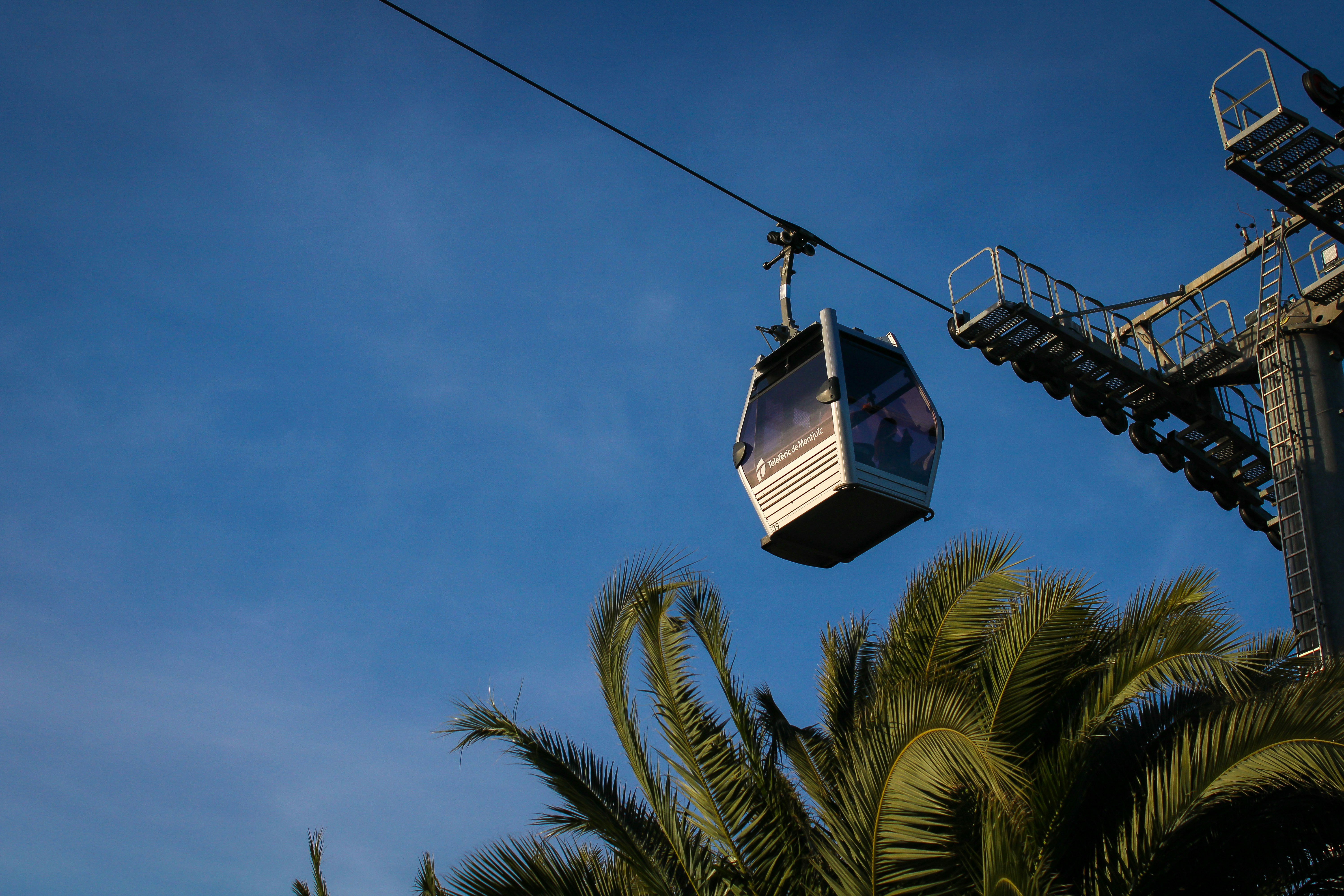 Cablecar Ascent: Blue Sky and Palm Canopy