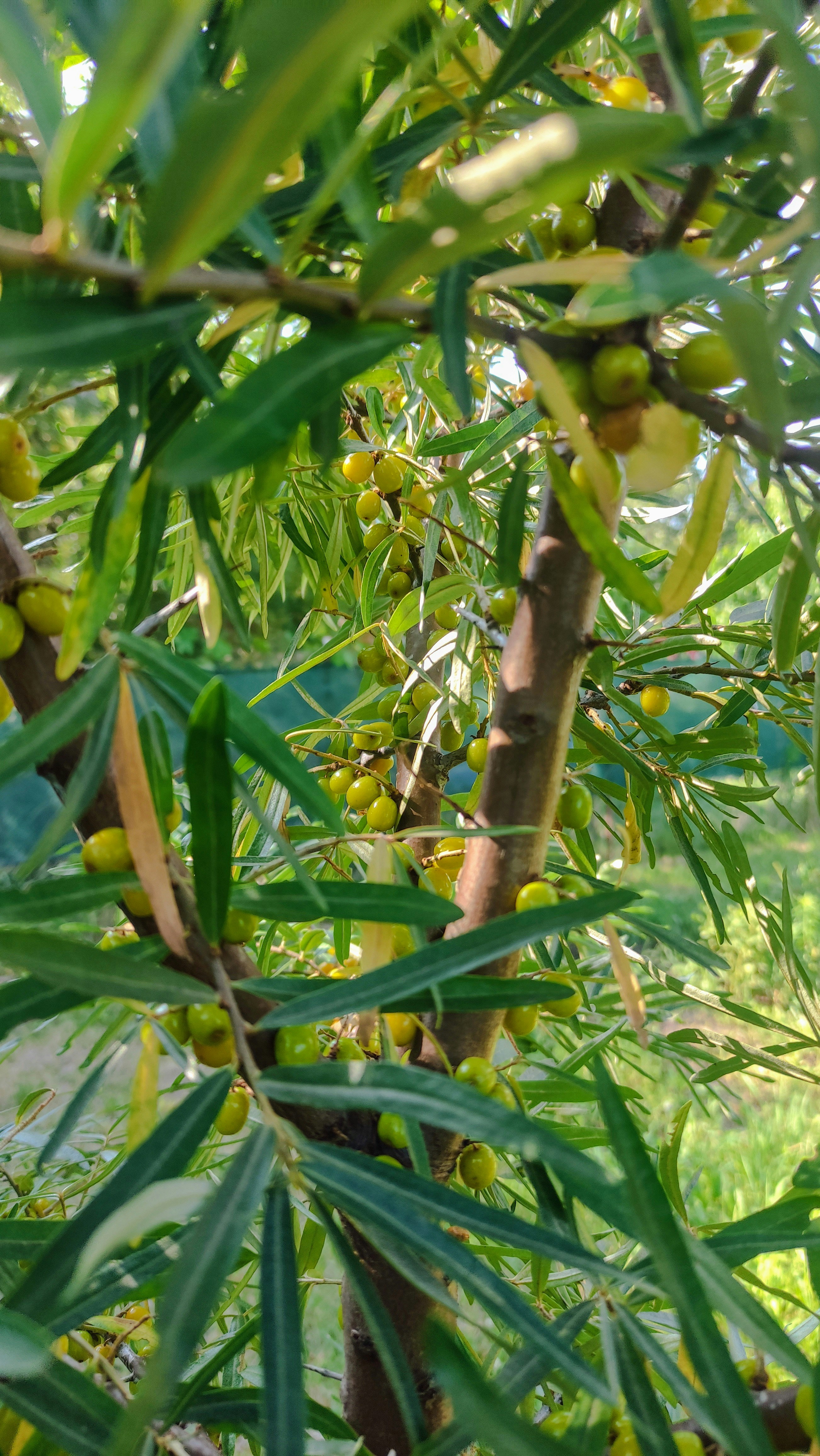 Дарія Шевченко (@ds_graphicdesign) | Comunidade de fotos da Unsplash