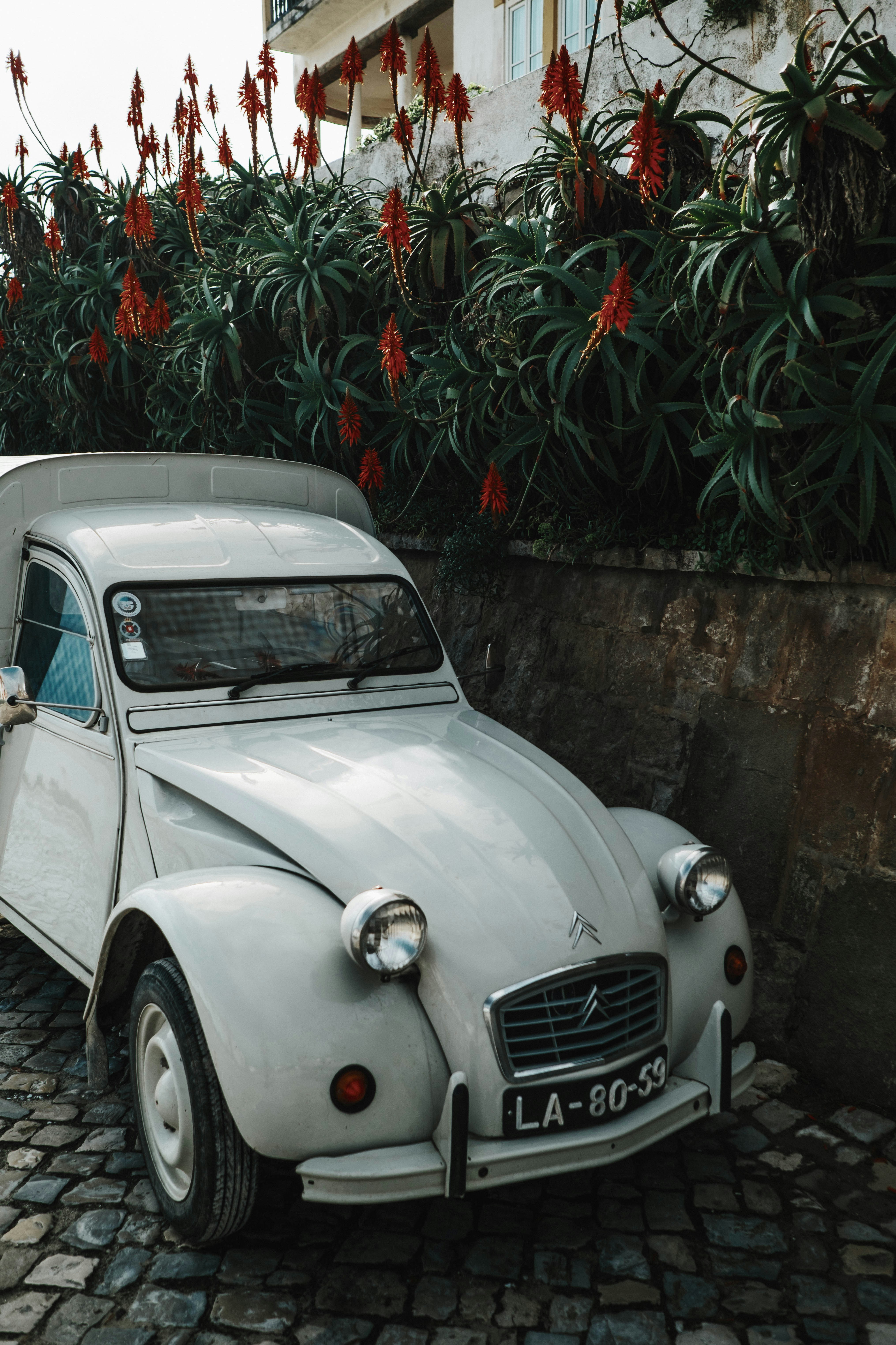 Oleksandr Kurchev (@alexkurchev) | Unsplash Photo Community