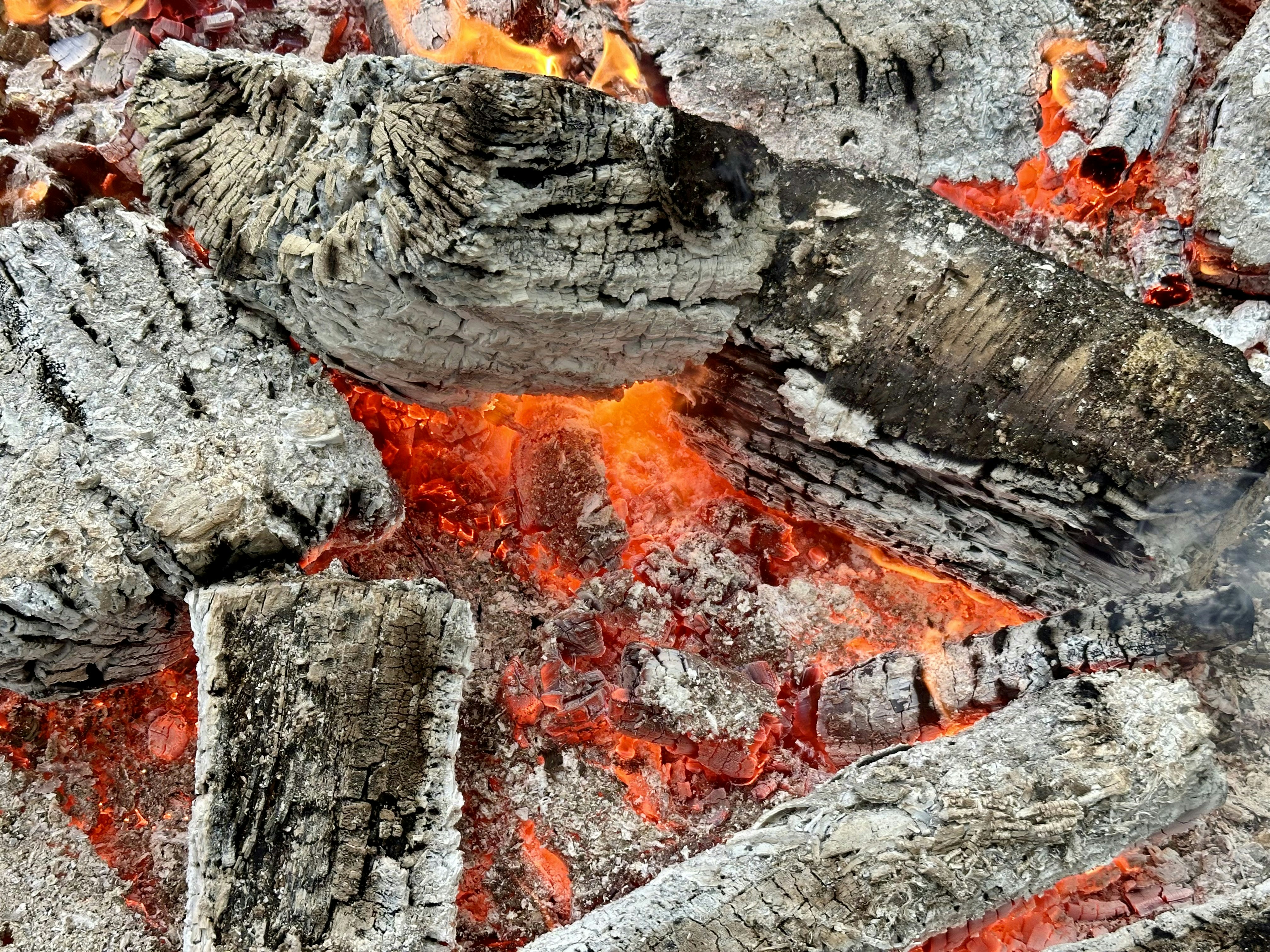 Crimson Coals Nestled in Weathered Charcoal