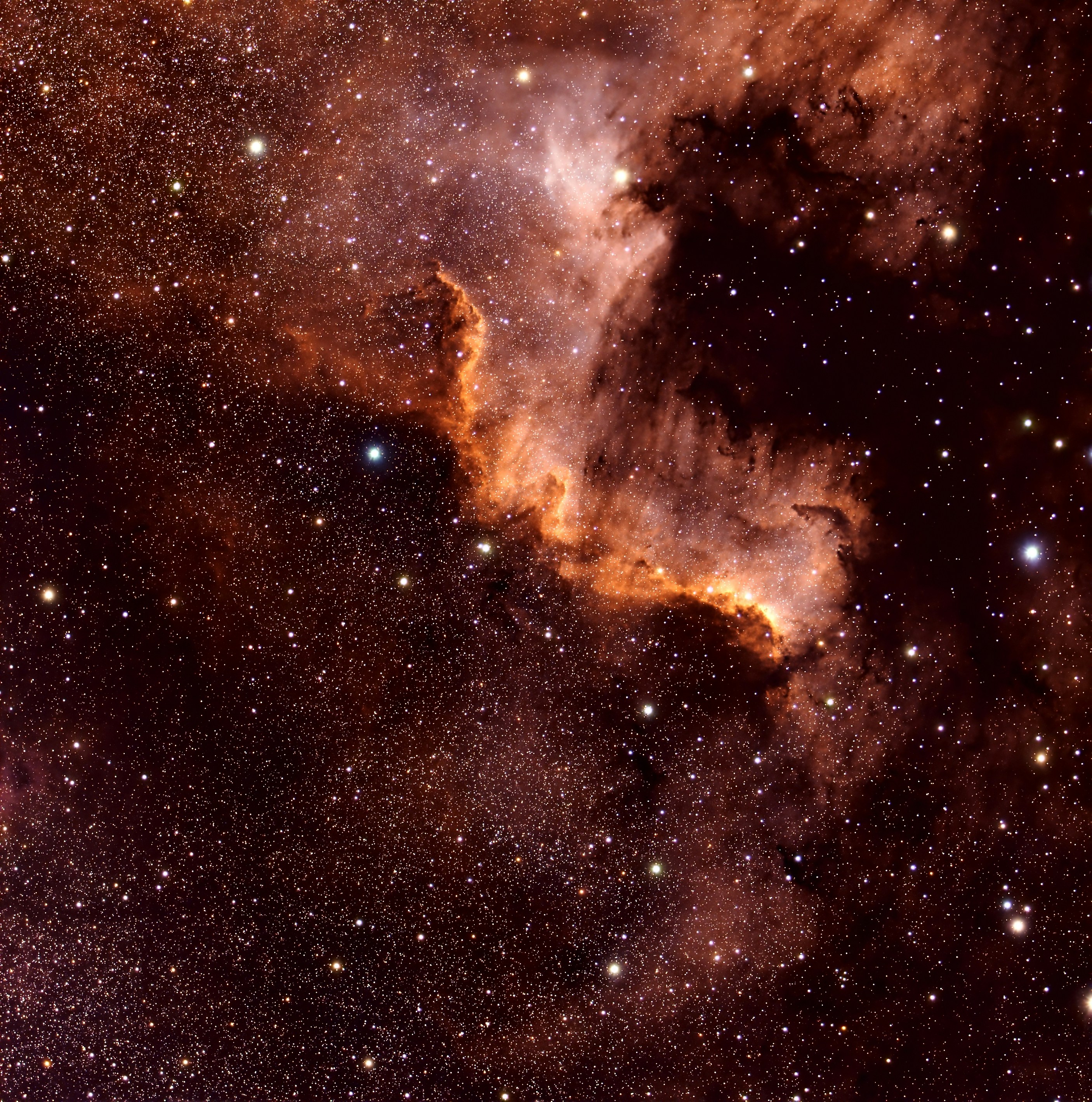 Ein Sternentstehungsgebiet am Himmel Foto – Kostenloses Bild zum Thema ...