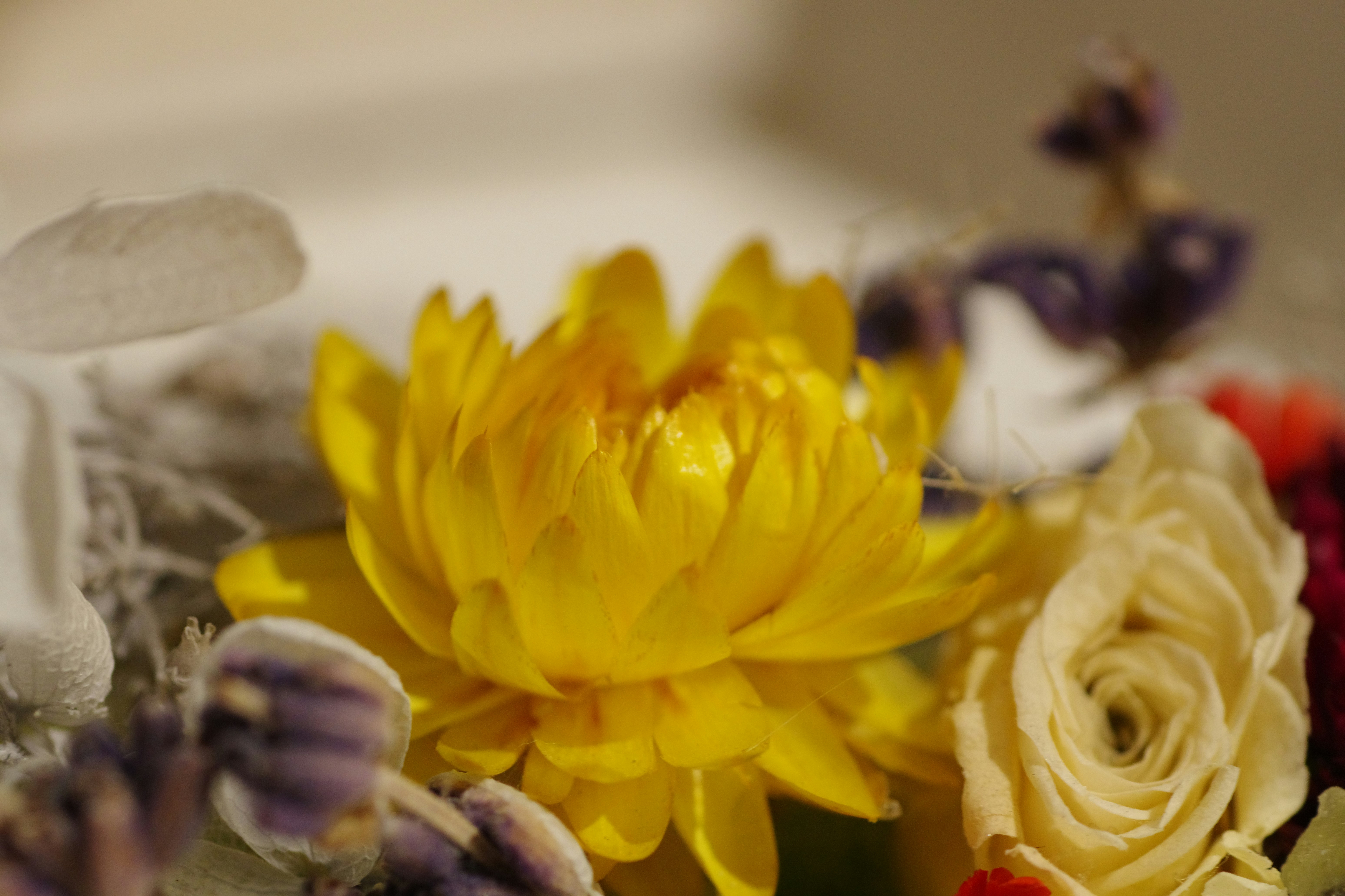 Golden Chrysanthemum Crowned by Soft Garden Blooms