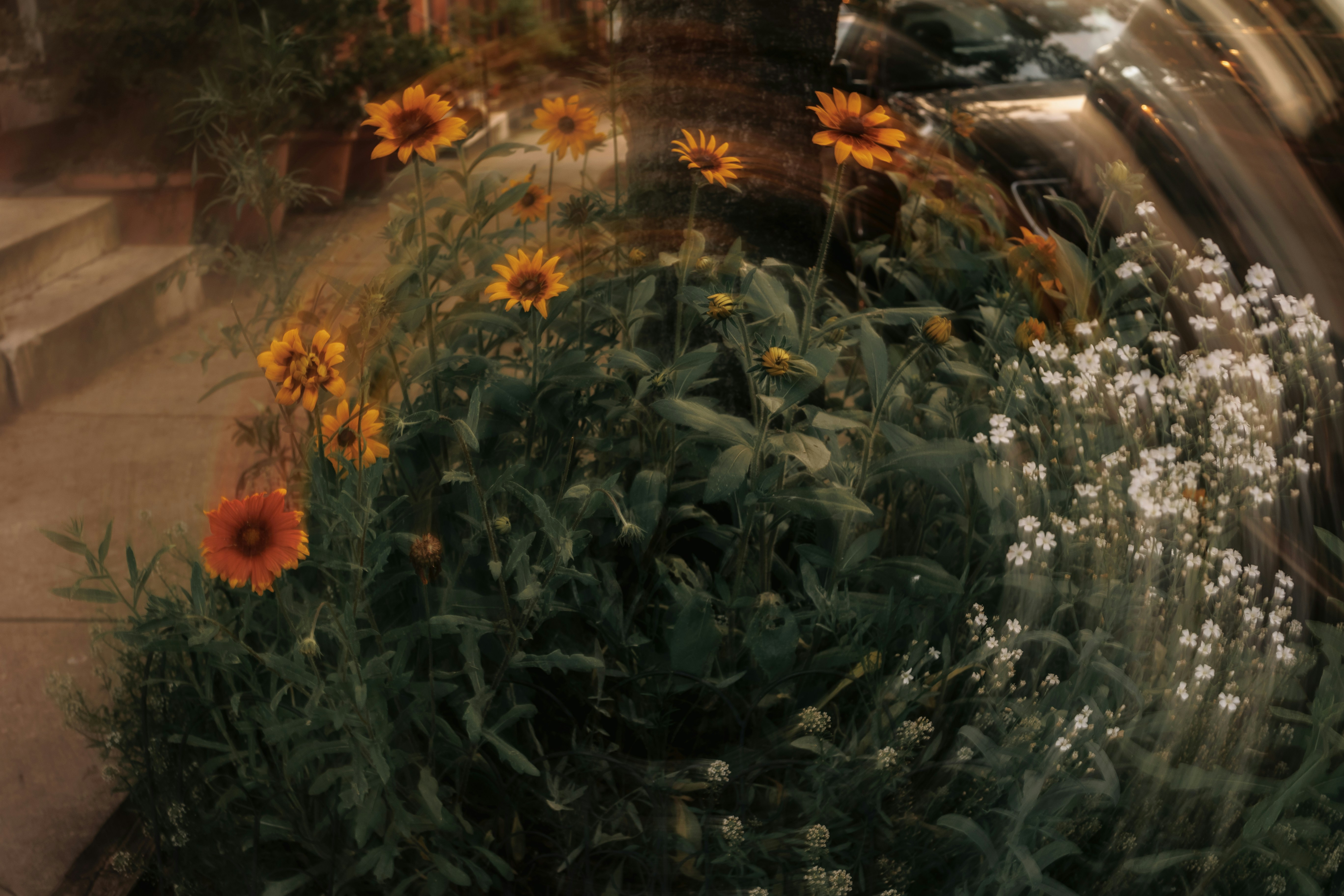 Photo by Liz Morgan with Canon EOS R6