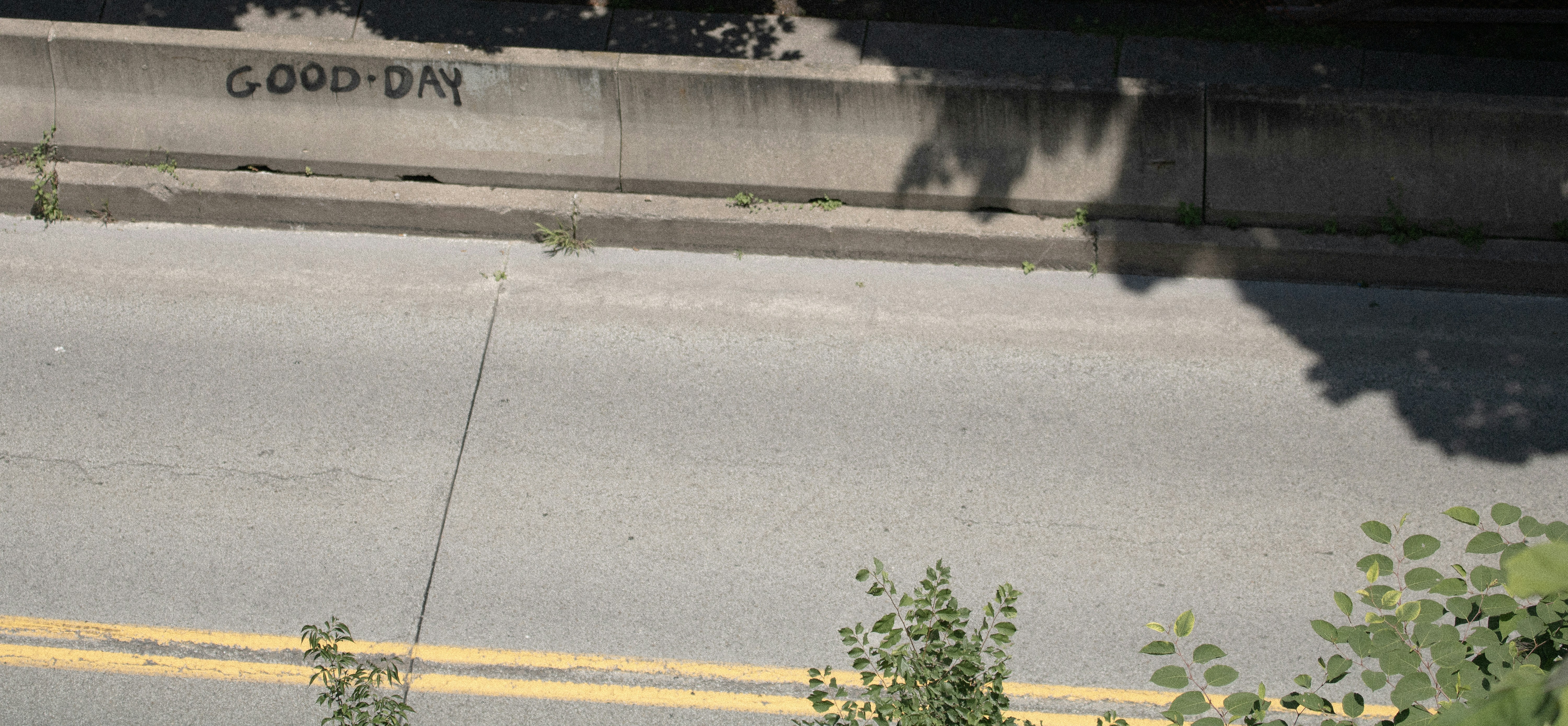 Urban Quiet: Sidewalk Graffiti and Overgrown Edge